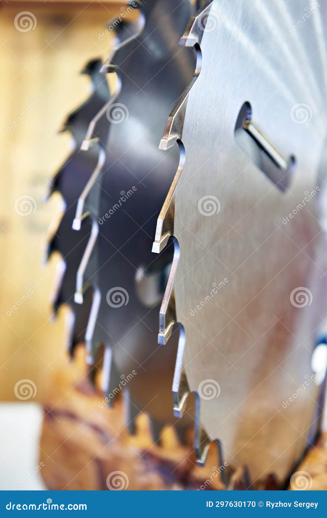 Circular Saw Machine Blades for Wood in Store Stock Photo - Image of ...