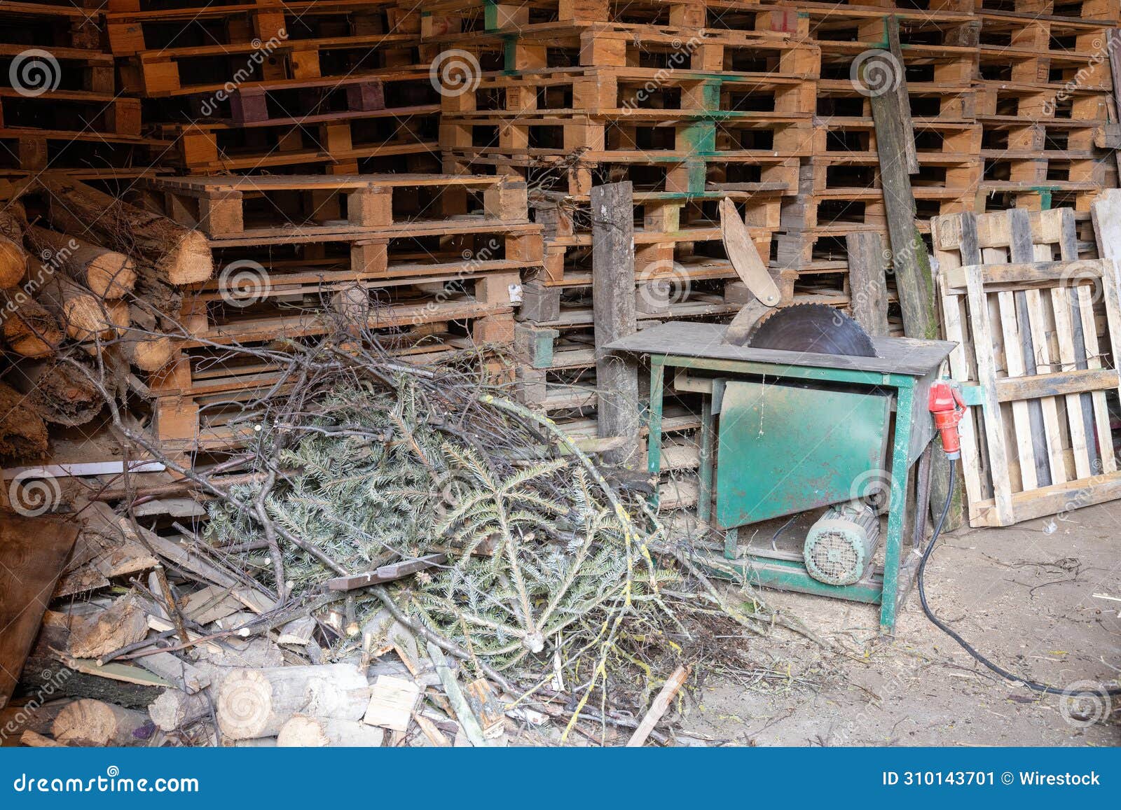 Circular Saw with Quantities of Pallet and Wood for Sawing and Burning ...
