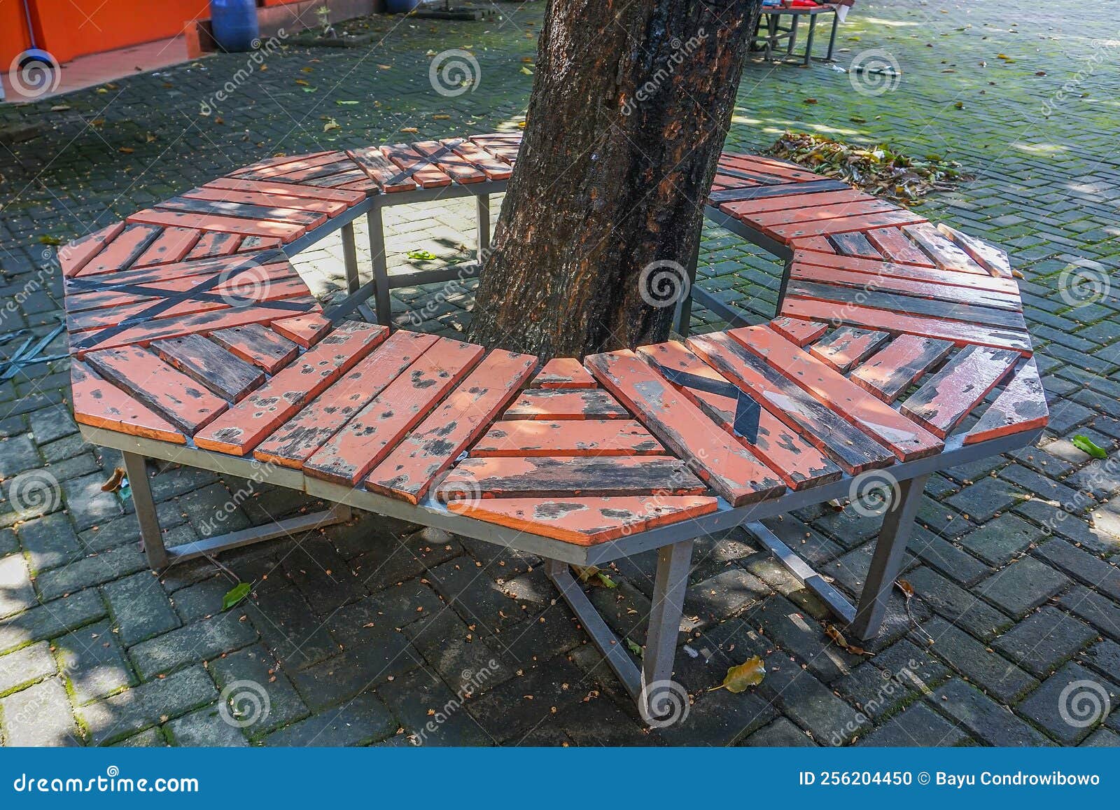 Circular Seating Design Under a Tree in the Park Stock Photo - Image of ...