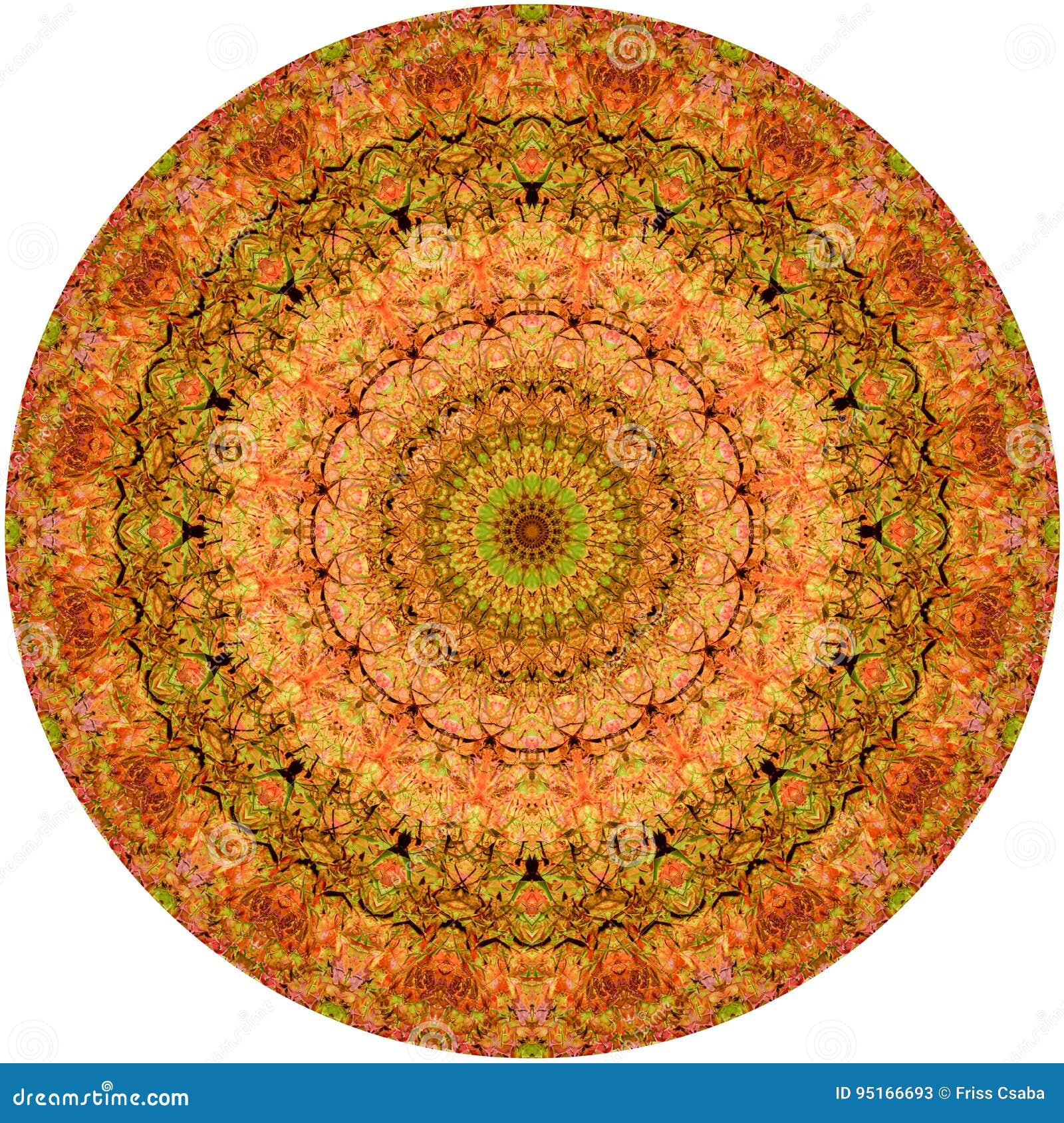 Circular Shape Echeveria Longissima Abstract 1 Stock Image - Image of ...