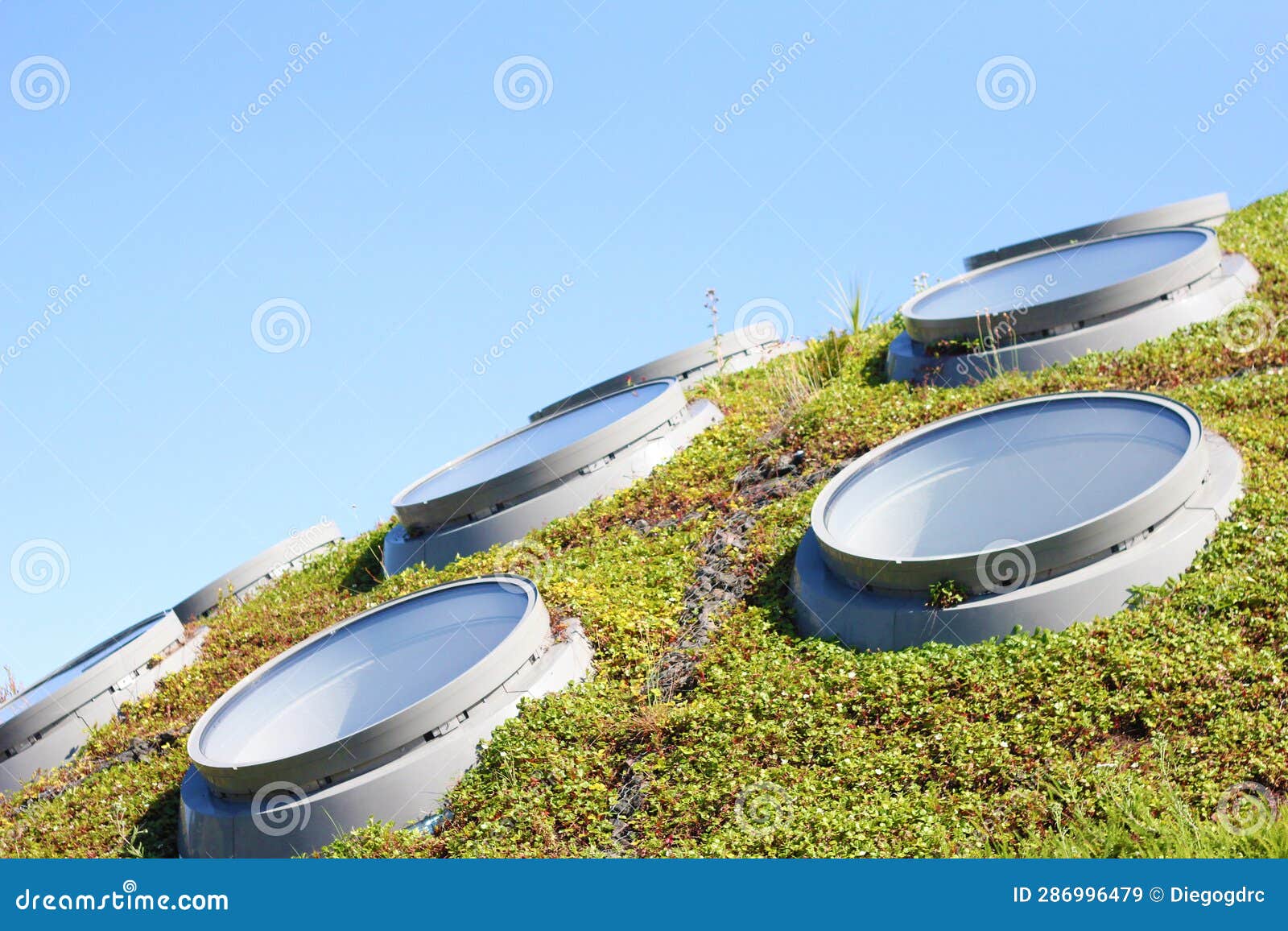 Circular Shaped Skylights on a Undulating Grass Surface, in the ...