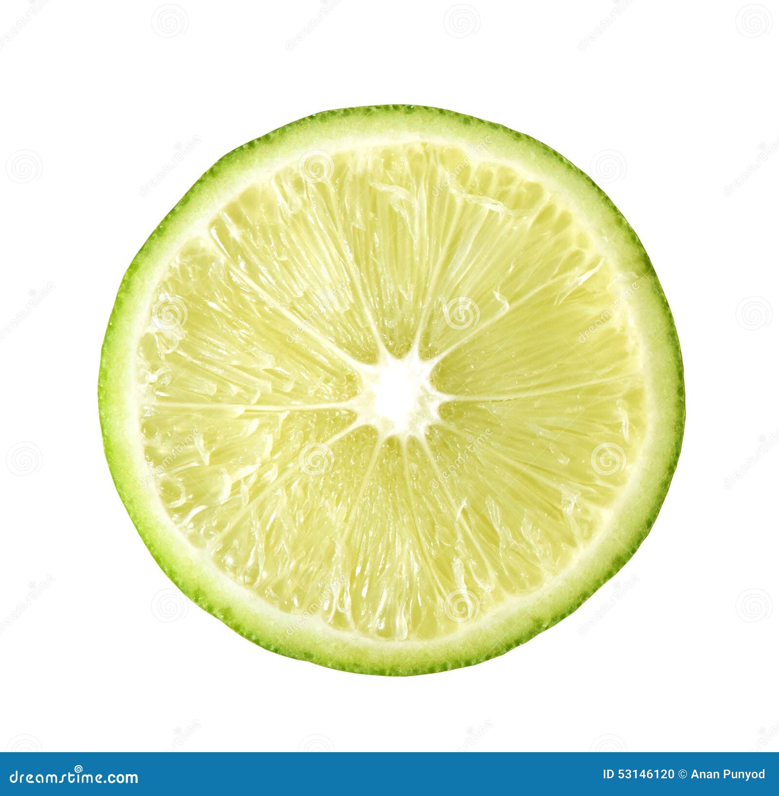 Circular Slice of Lemon is Freshess and Nature Stock Photo - Image of ...