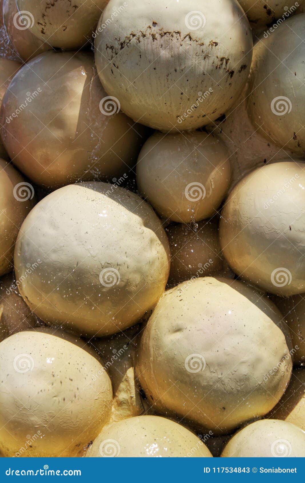 White Circular Stone Texture Fountain with Sunlight Stock Image - Image ...