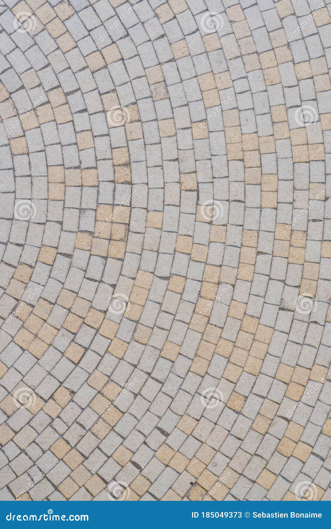 Path And Yellow Flowers At Sunset, At Dana Point Headlands Conservation ...