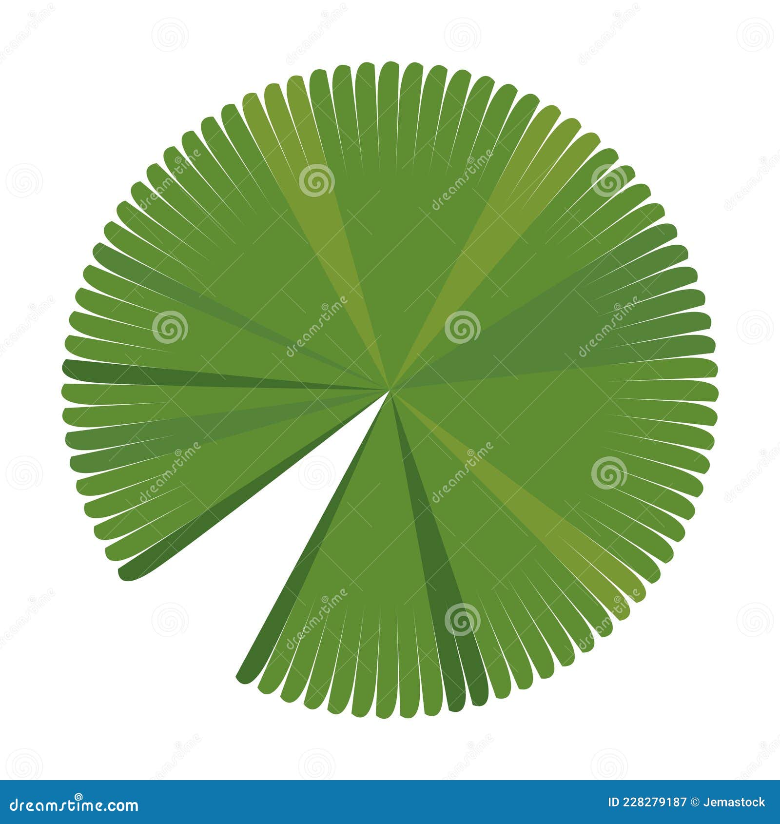 Circular tropical leaf stock vector. Illustration of vector - 228279187