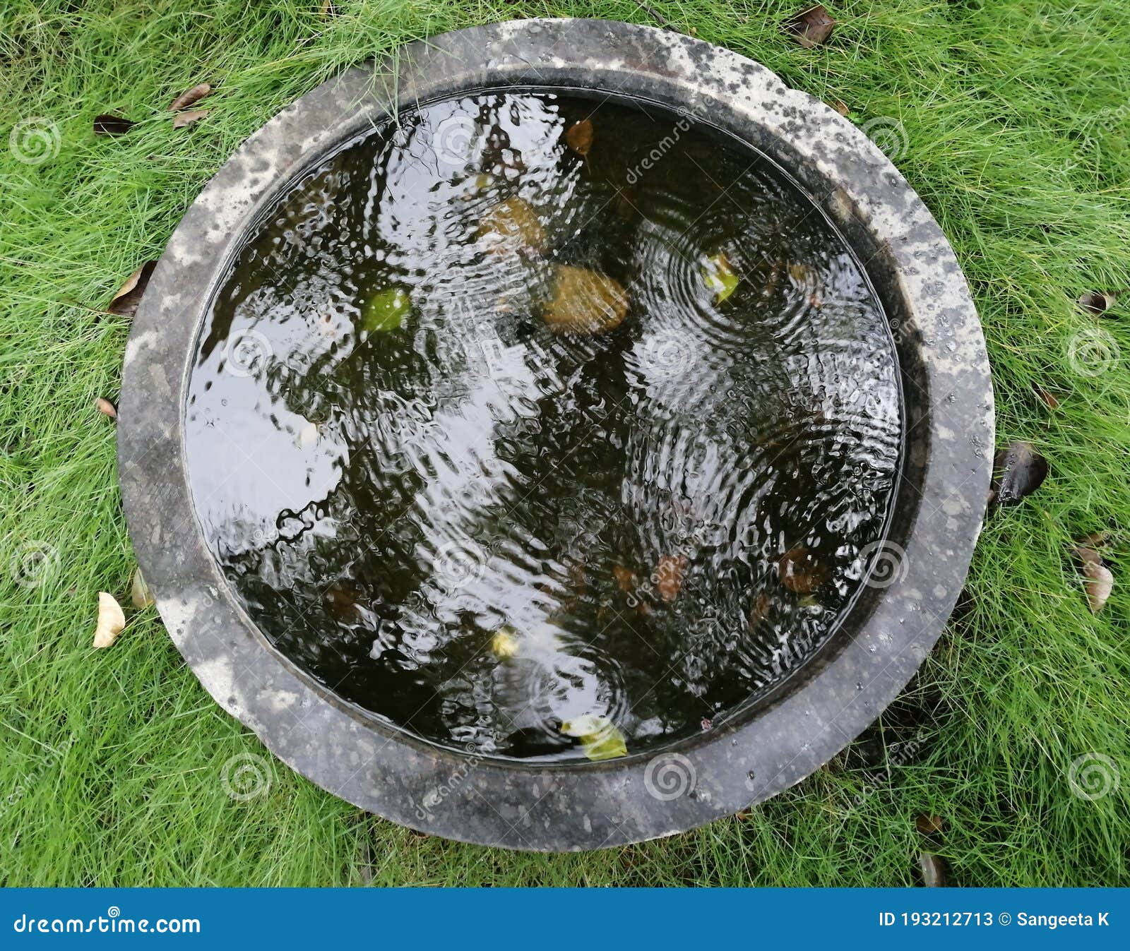 Circular Water Rings.beautiful Water Waves In Tank Royalty-Free Stock ...