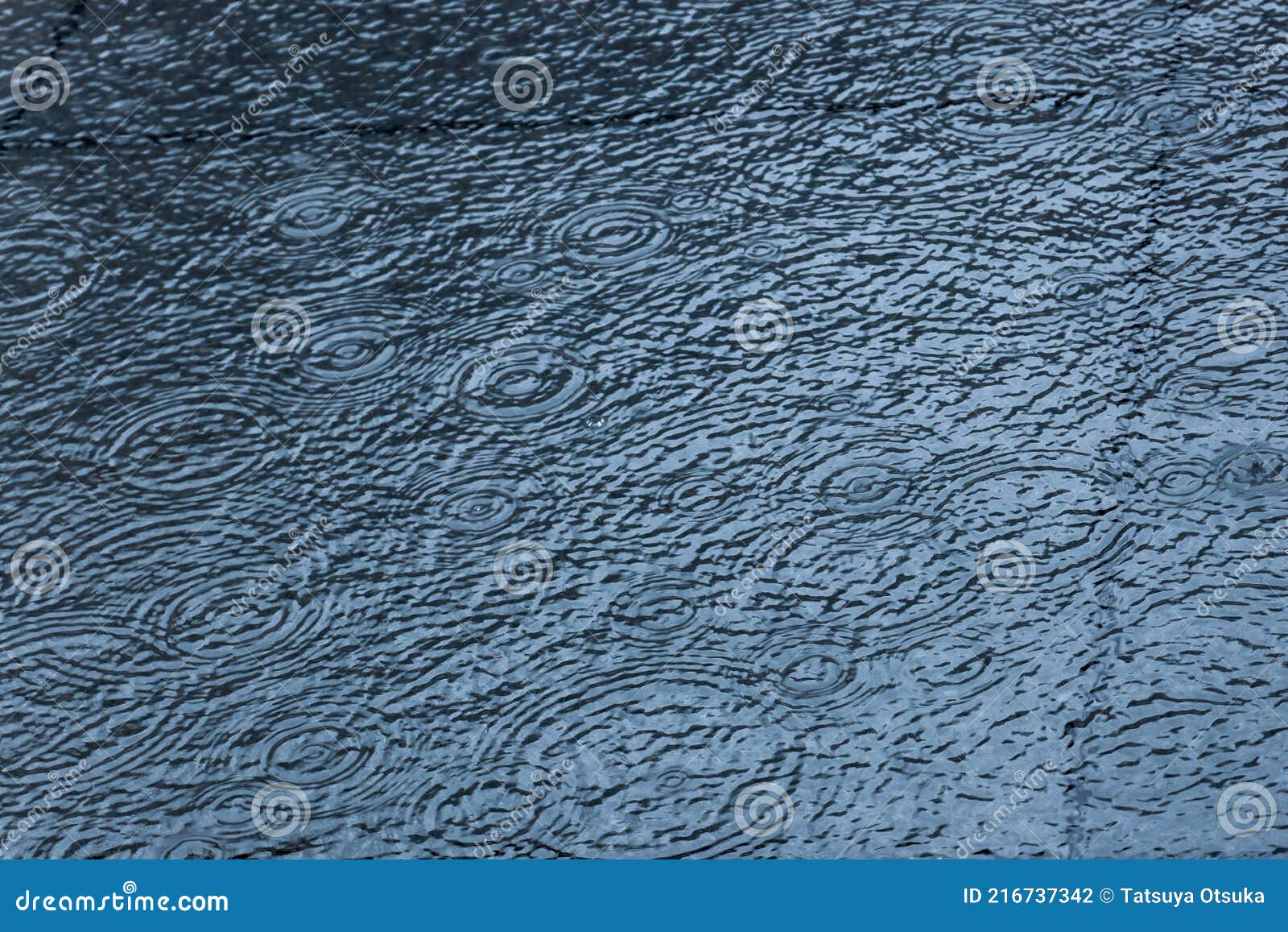 Circular Wavelets on the Surface of Water. Stock Photo - Image of ...