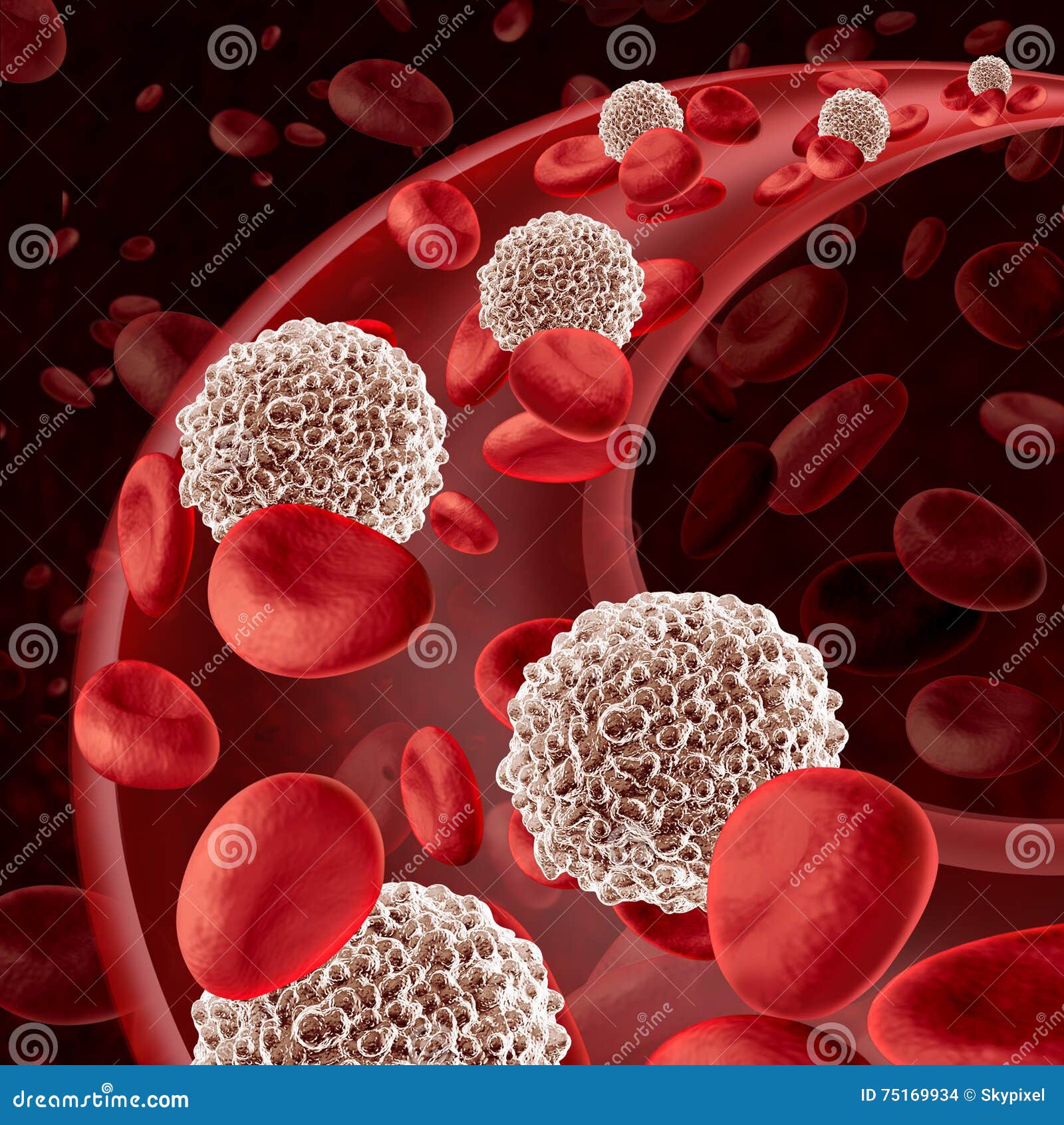 Circulation De Globule Blanc Illustration Stock - Illustration du ...