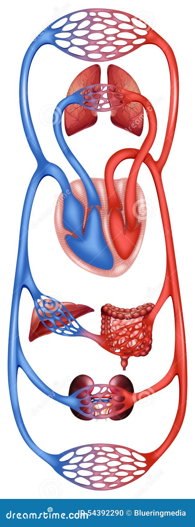 Circulation stock illustration. Illustration of poster - 54392290