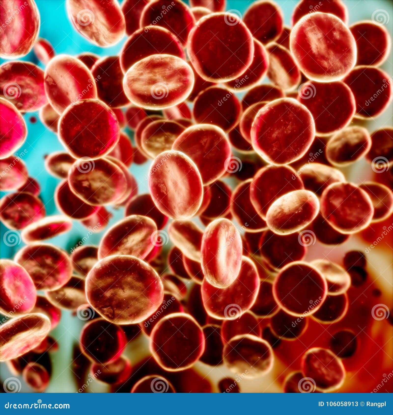 Circulation Sanguine De Globules Rouges Illustration Stock ...