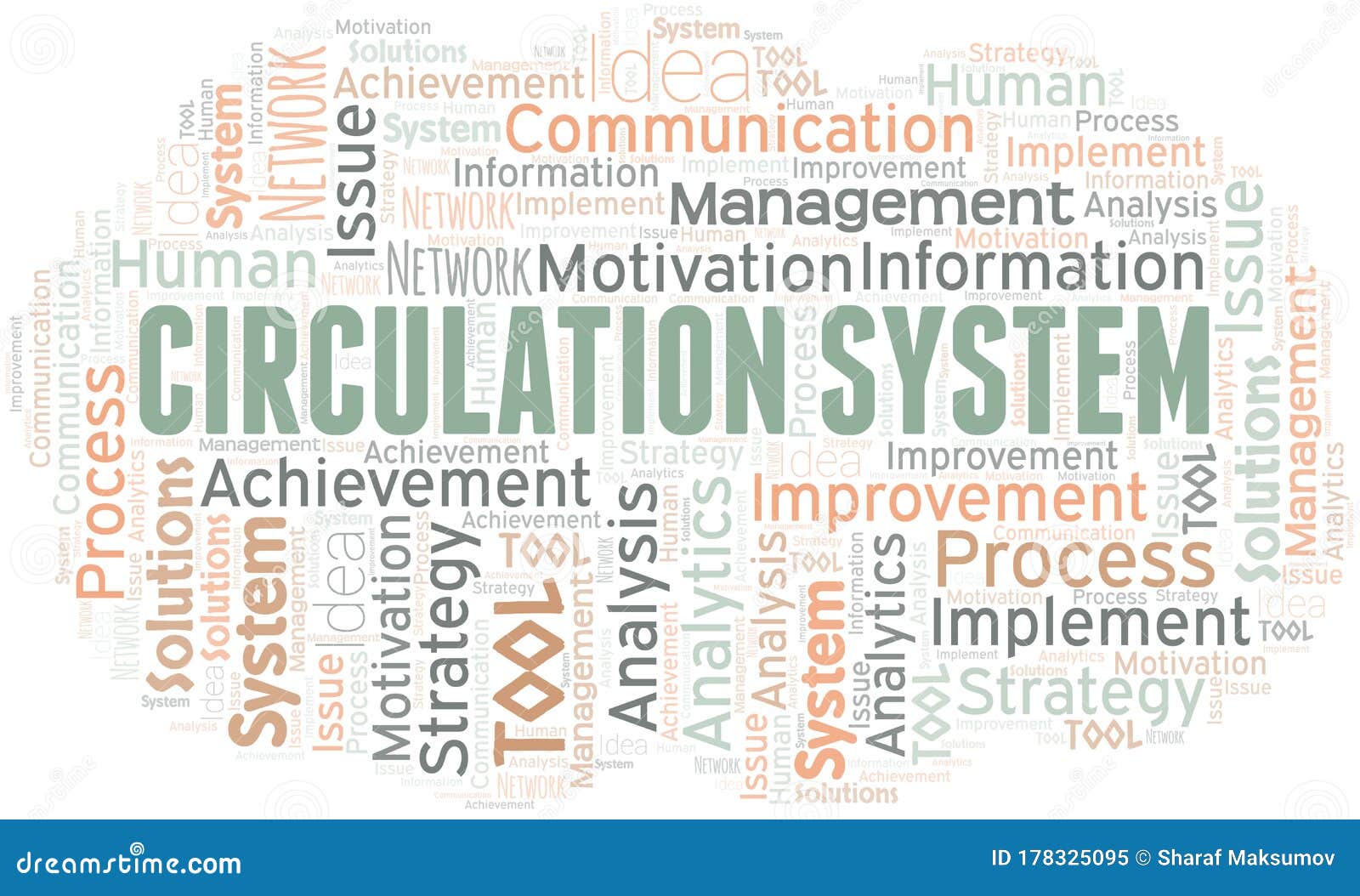 Circulation System Typography Vector Word Cloud. Stock Illustration ...