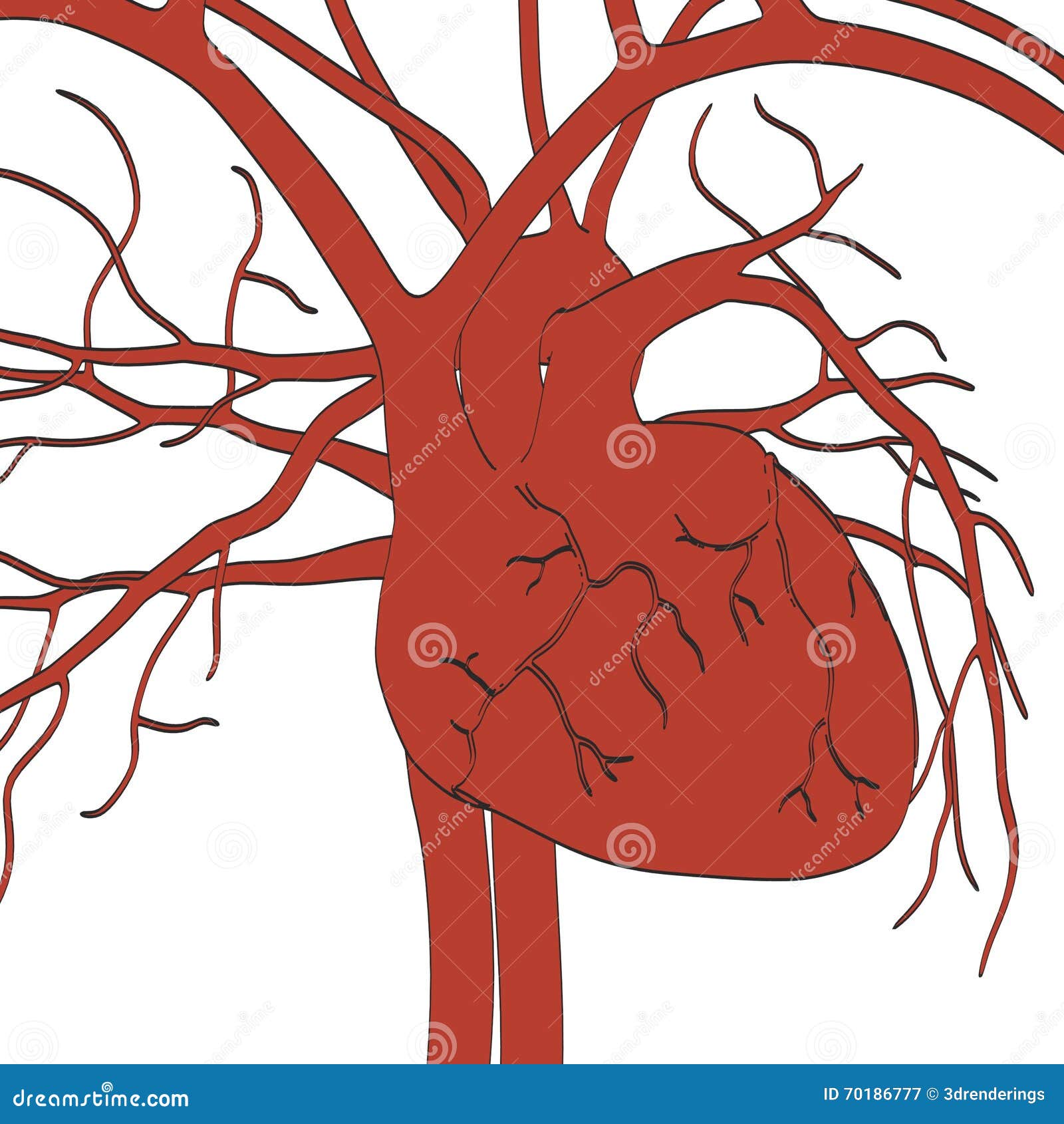 Circulatory System Stock Illustration | CartoonDealer.com #70186777