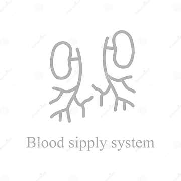 Circulatory System Icon on a White Background, Vector Illustration ...