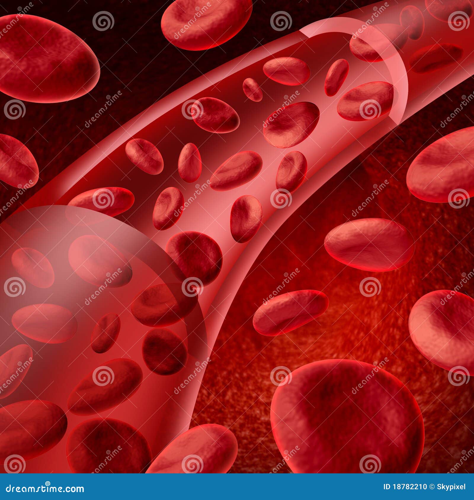 Circuler De Globules Rouges Illustration Stock - Illustration du ...