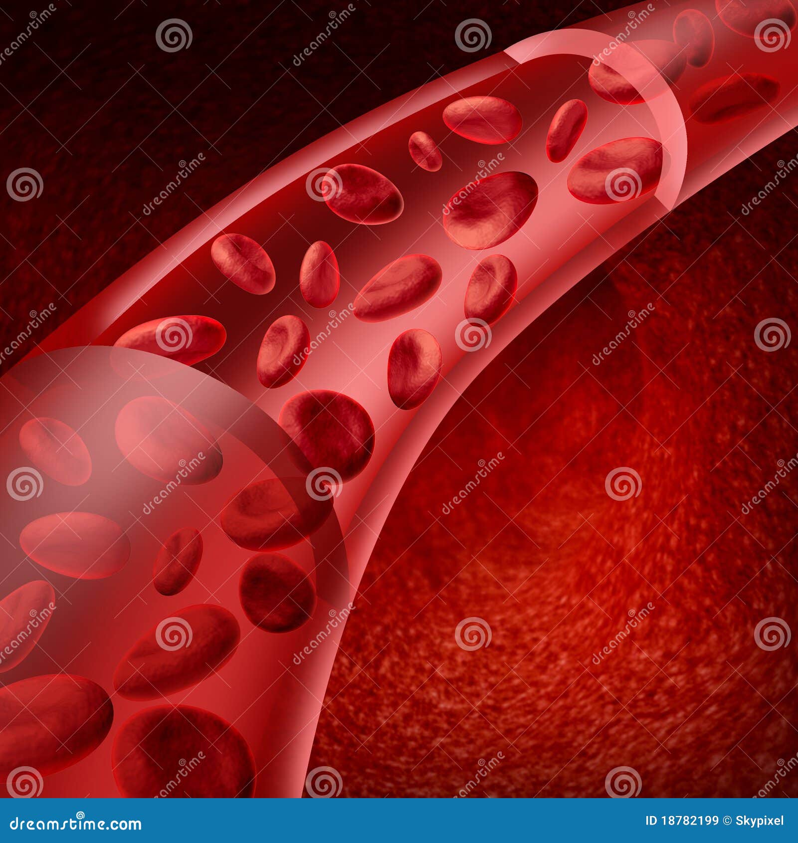 Circuler De Globules Sanguins Illustration Stock - Illustration du ...