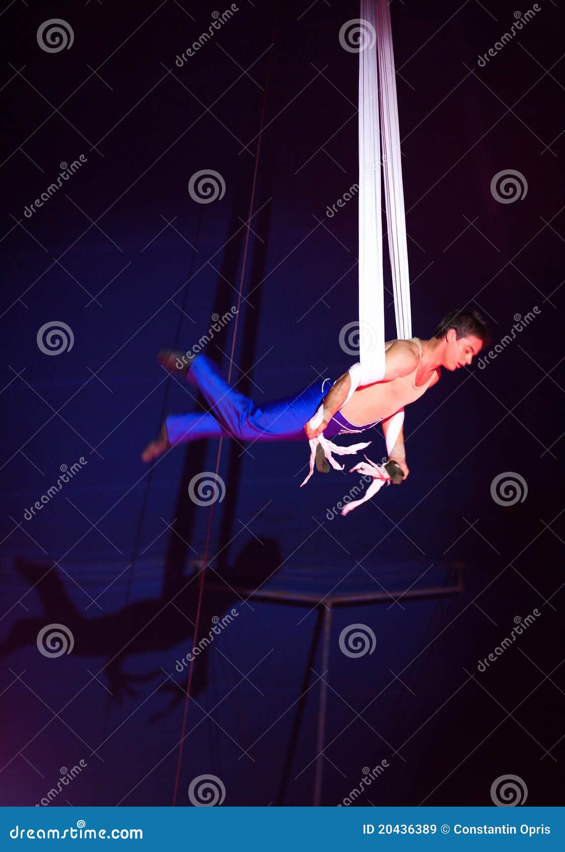 Circus acrobat editorial stock image. Image of hanging - 20436389