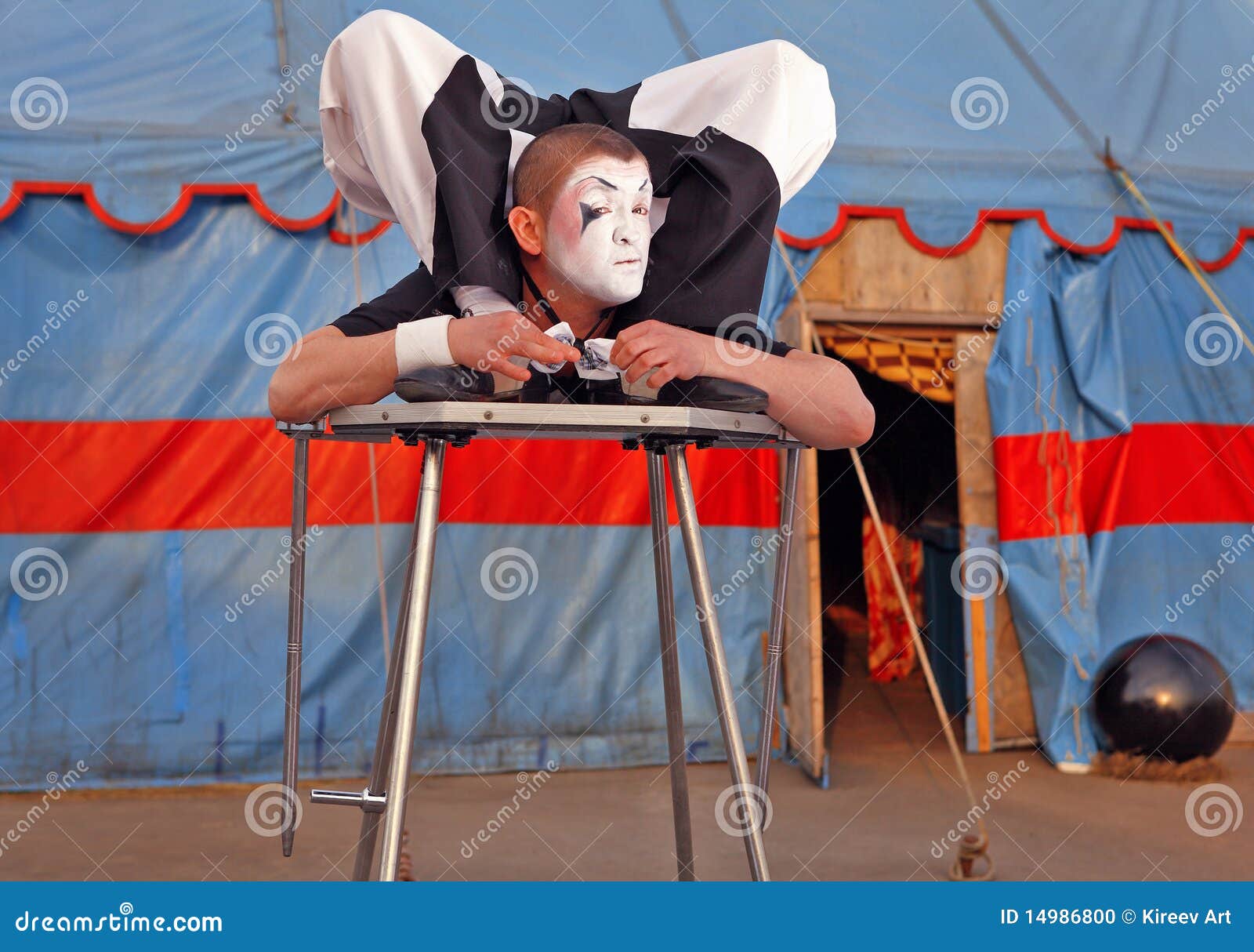 Circus Acrobat with a Plastic Body Stock Photo - Image of inspiration ...