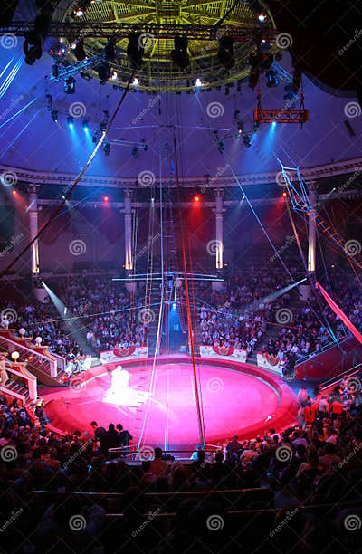 Circus arena stock photo. Image of rope, elephant, electric - 2265116