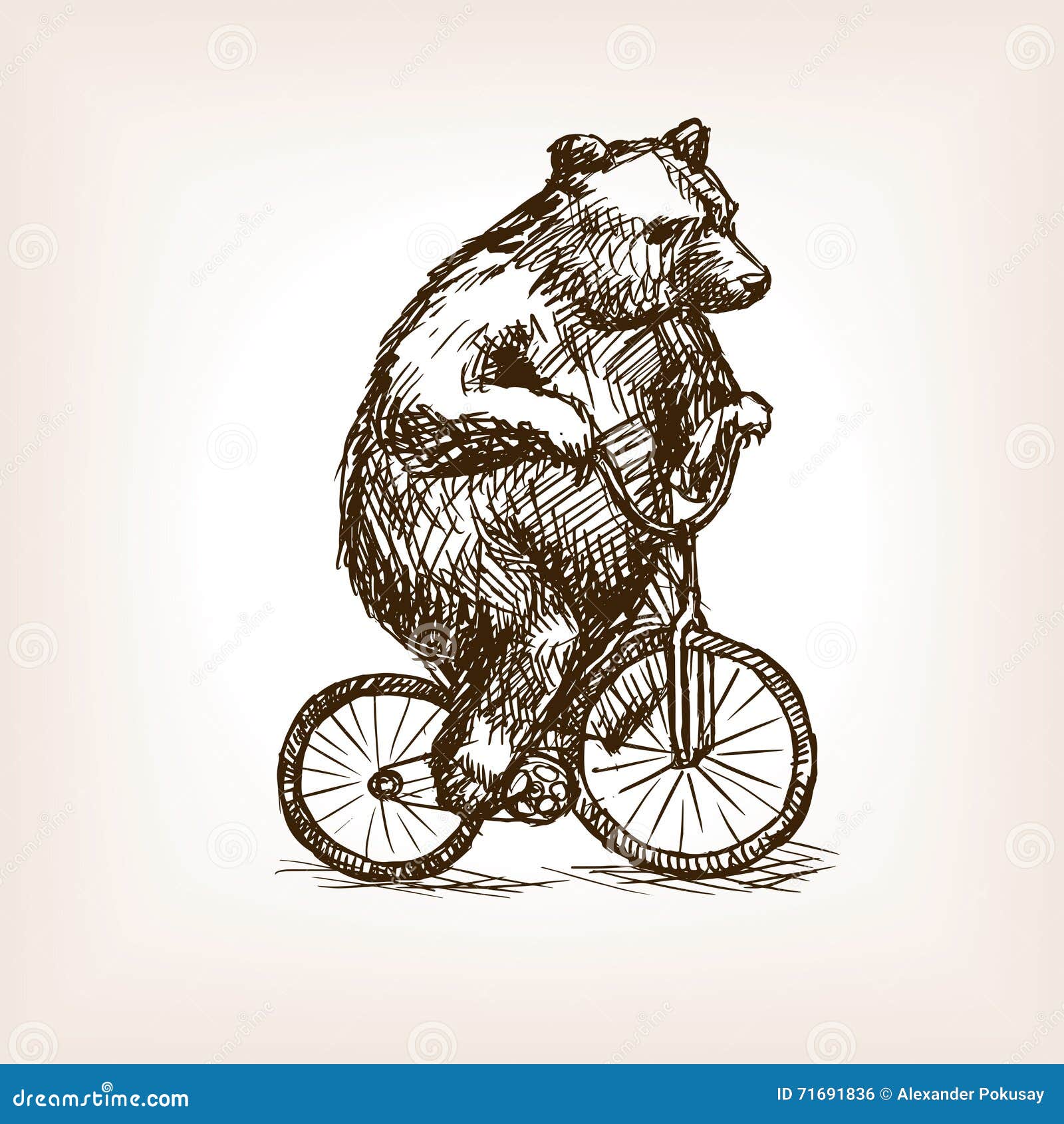 Circus Bear Riding A Bicycle With Balloons. Vector Illustration ...