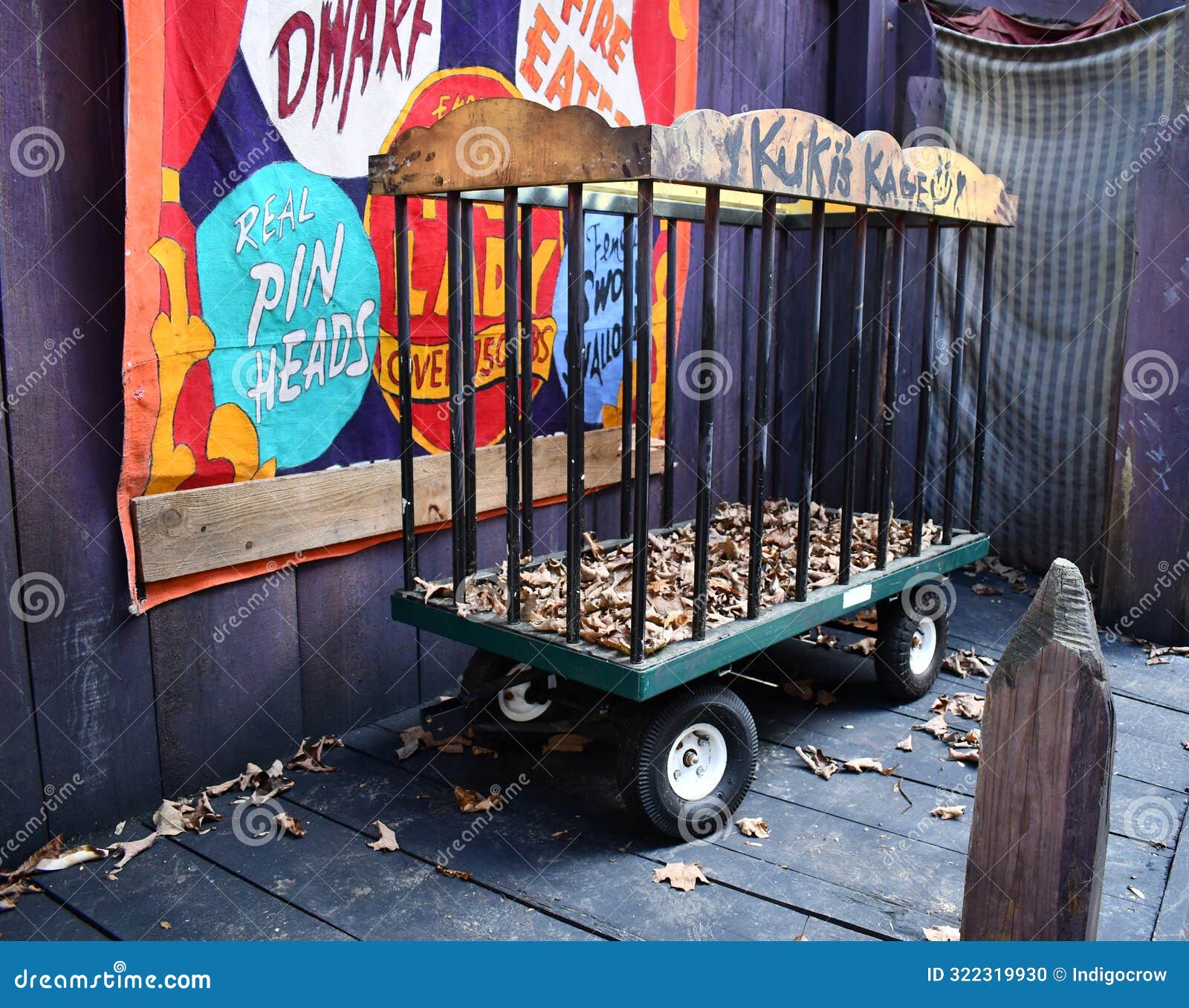 Circus Cage stock photo. Image of haunt, door, autumn - 322319930