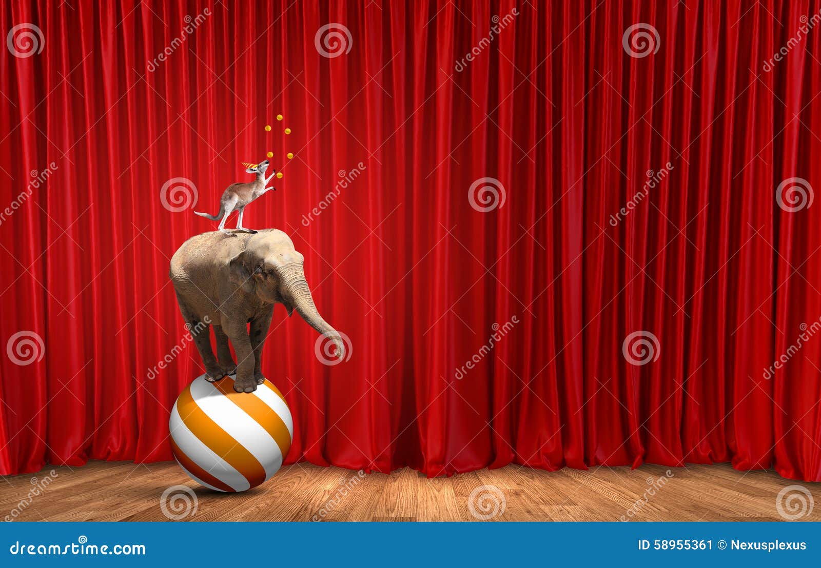 Circus in city stock image. Image of elephant, game, curtain - 58955361