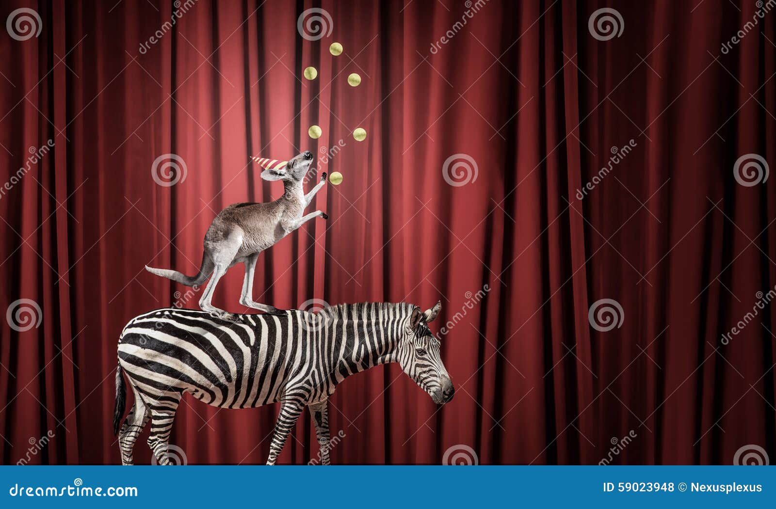Circus in city stock photo. Image of elephant, stage - 59023948