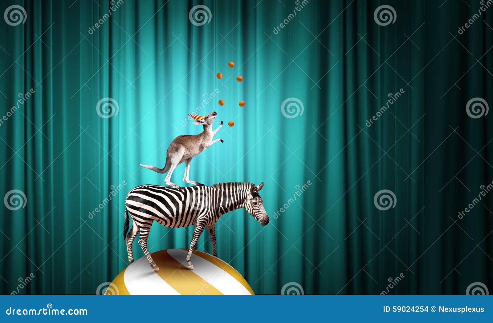 Circus in city stock photo. Image of stage, surreal, elephant - 59024254