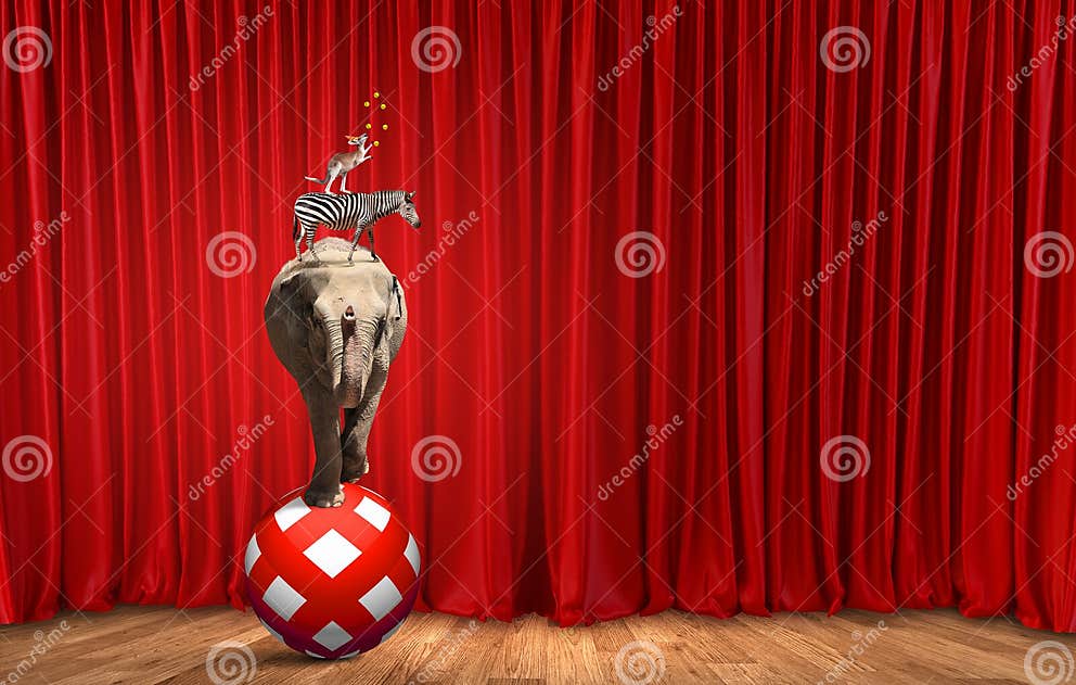 Circus in city stock photo. Image of circus, performance - 59248708