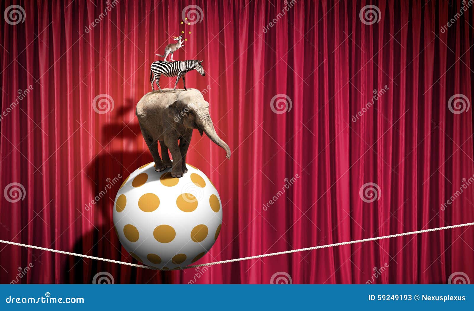 Circus in city stock image. Image of elephant, curtain - 59249193