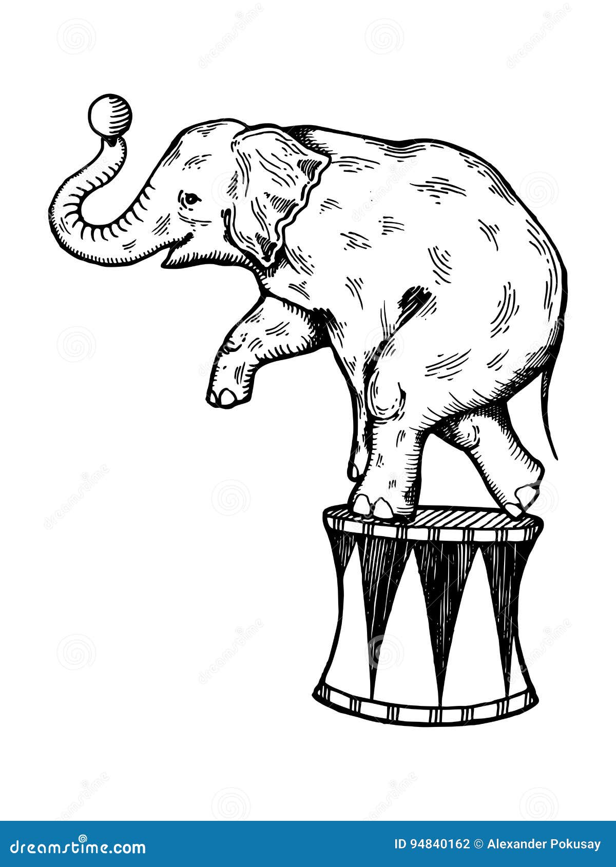 Circus Elephant Engraving Vector Stock Vector - Illustration of drawn ...