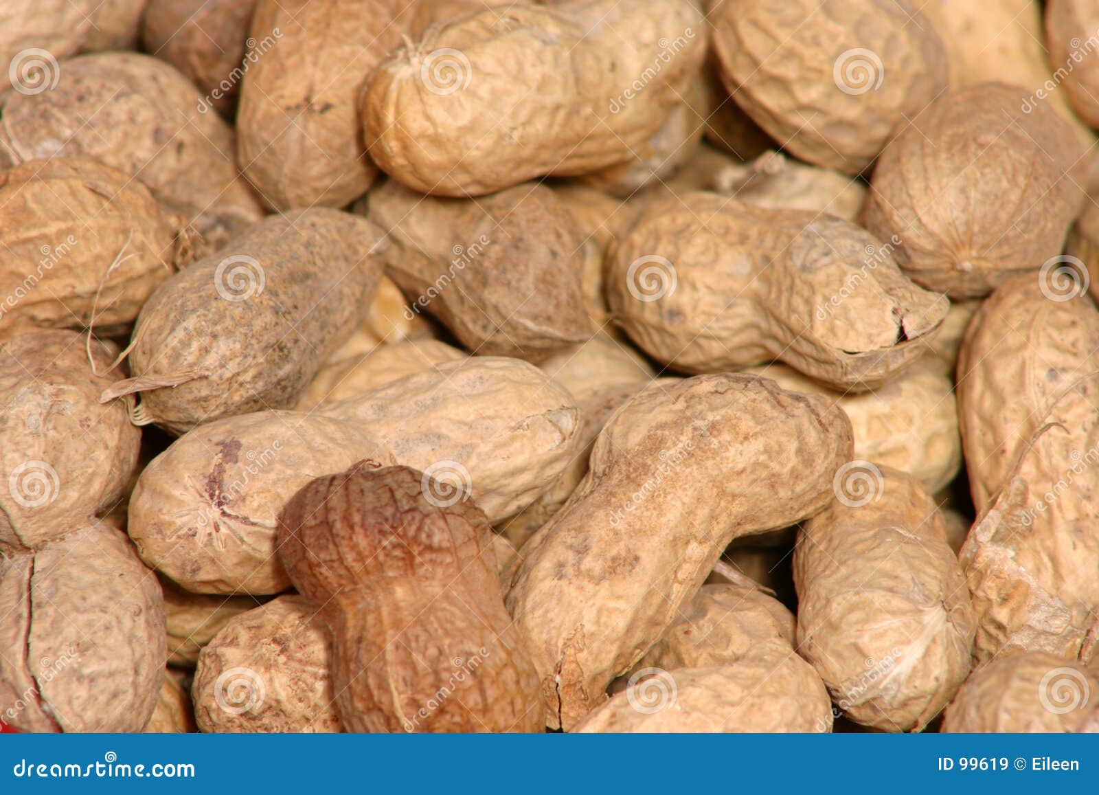 Monkey nuts stock image. Image of snack, shells, nuts, shell - 99619