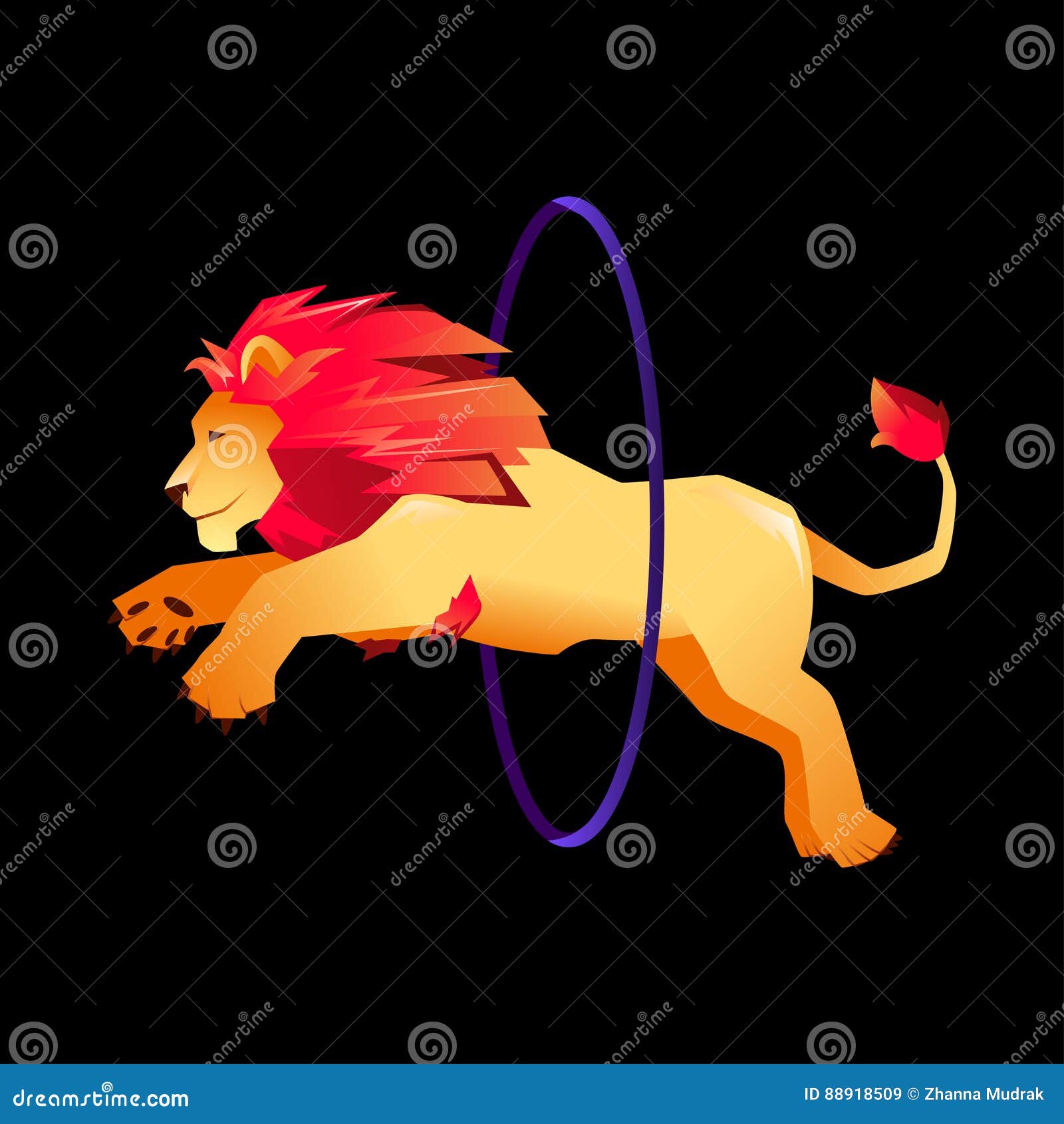 Circus Trained Wild Animals Performance. Gradient Lion Jumps Over the ...