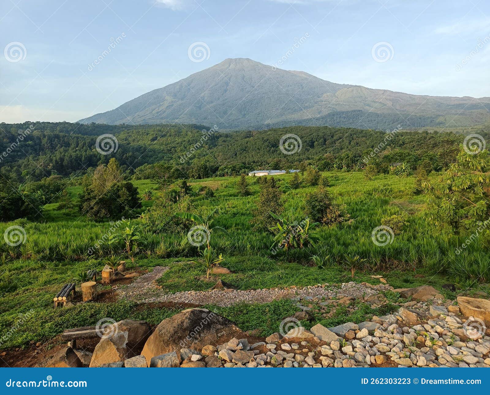 Ciremai Mountain stock image. Image of ciremai, plateau - 262303223