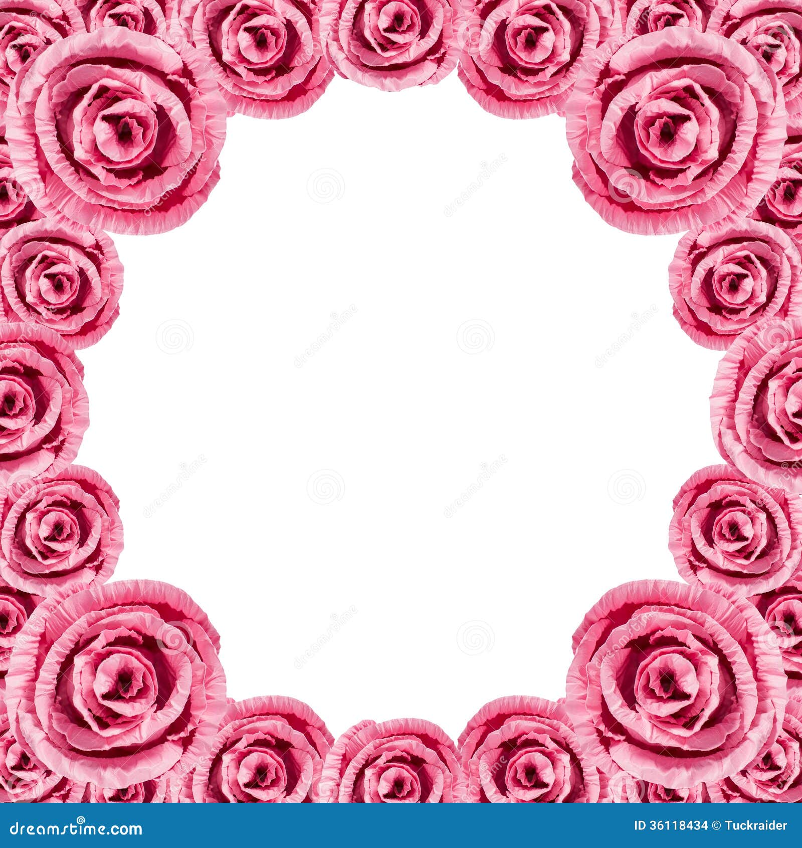 Cirkel Roze Rose Frame stock foto. Image of bloesem, liefde - 36118434