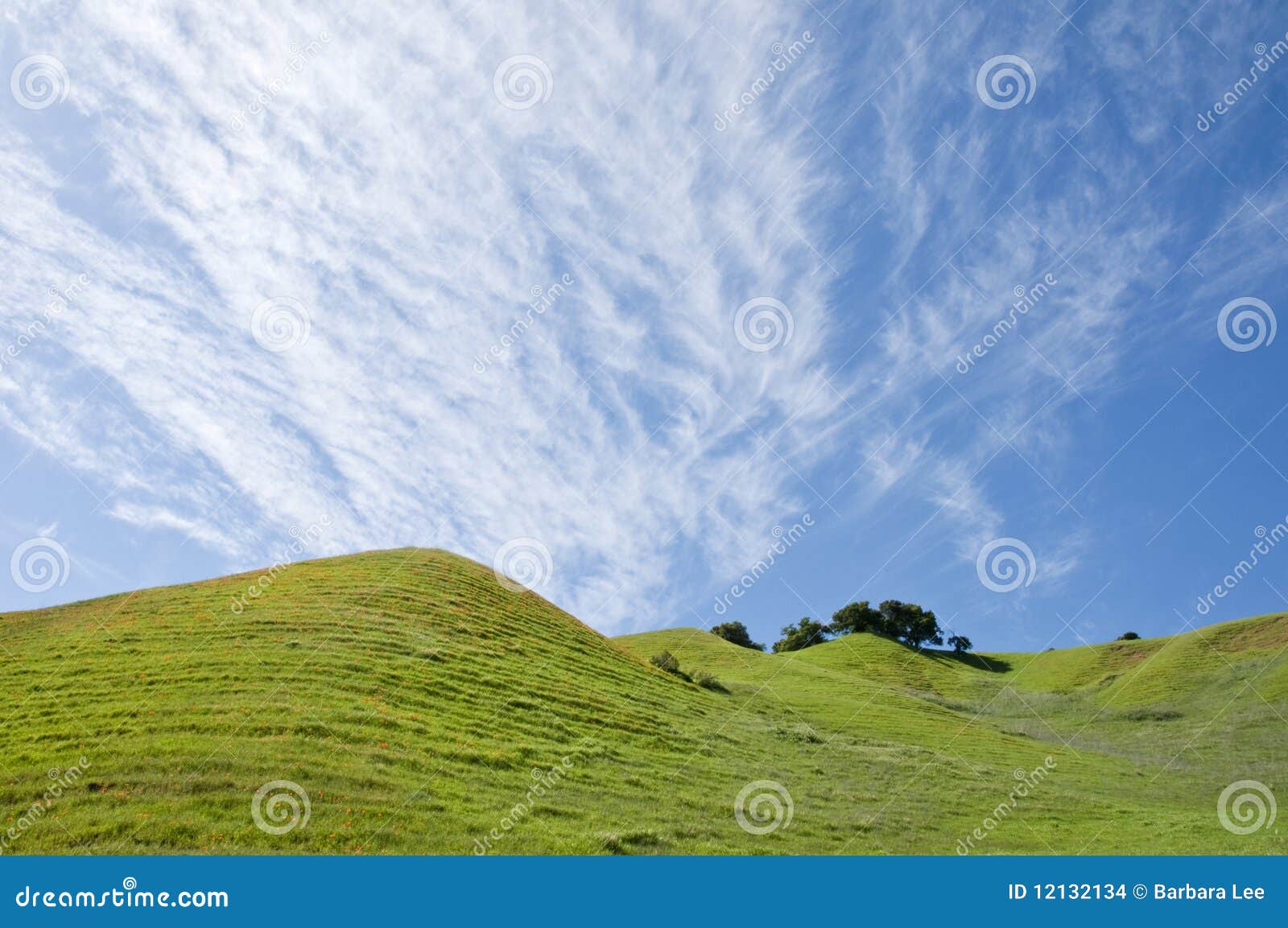 Cirrocumulus Clouds and Spring Hillside Stock Photo - Image of hillside ...