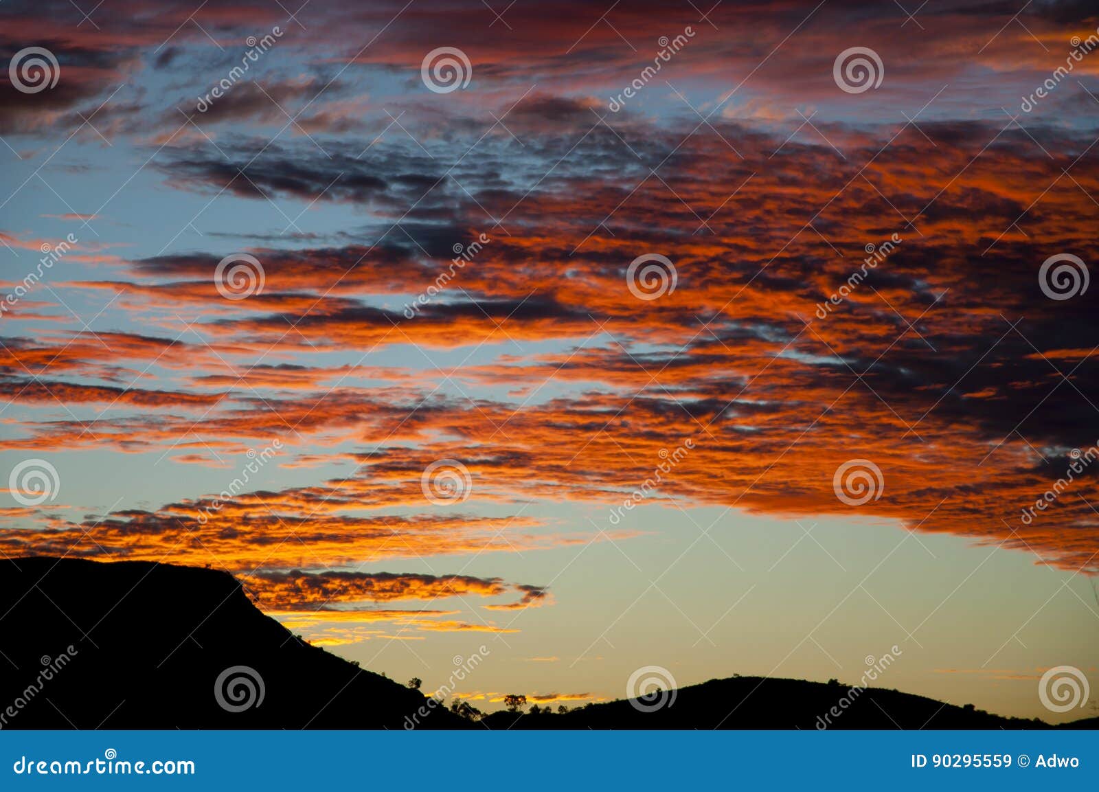 Sunset On The Outback,silhouette Trees Western Australia Stock Photo ...