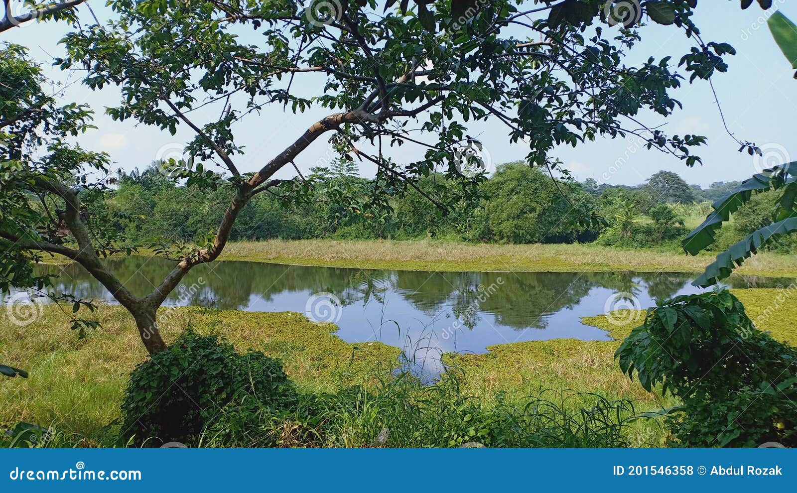 Cisauk Photos - Free & Royalty-Free Stock Photos from Dreamstime