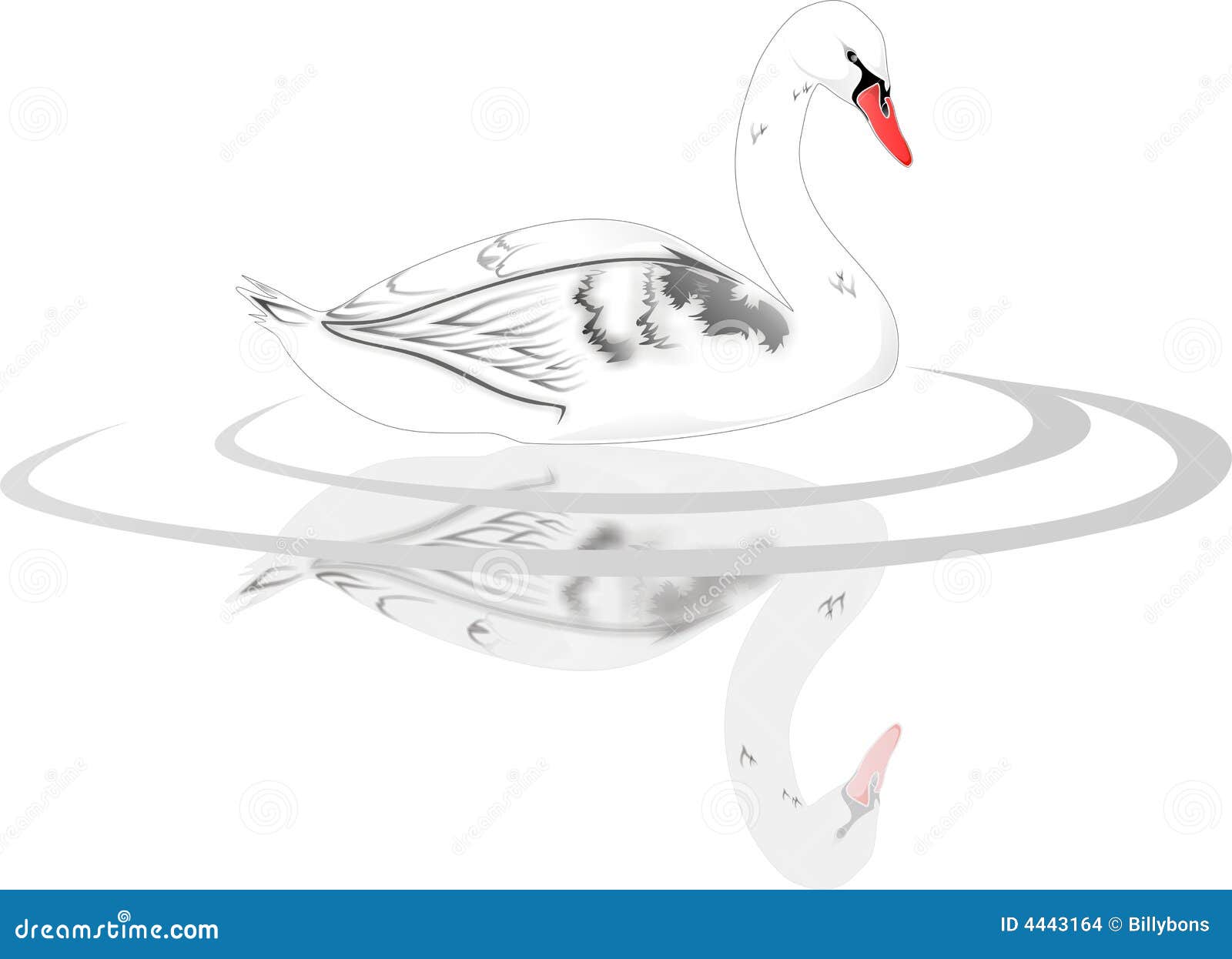 Cisne blanco - vector ilustración del vector. Ilustración de regalo ...