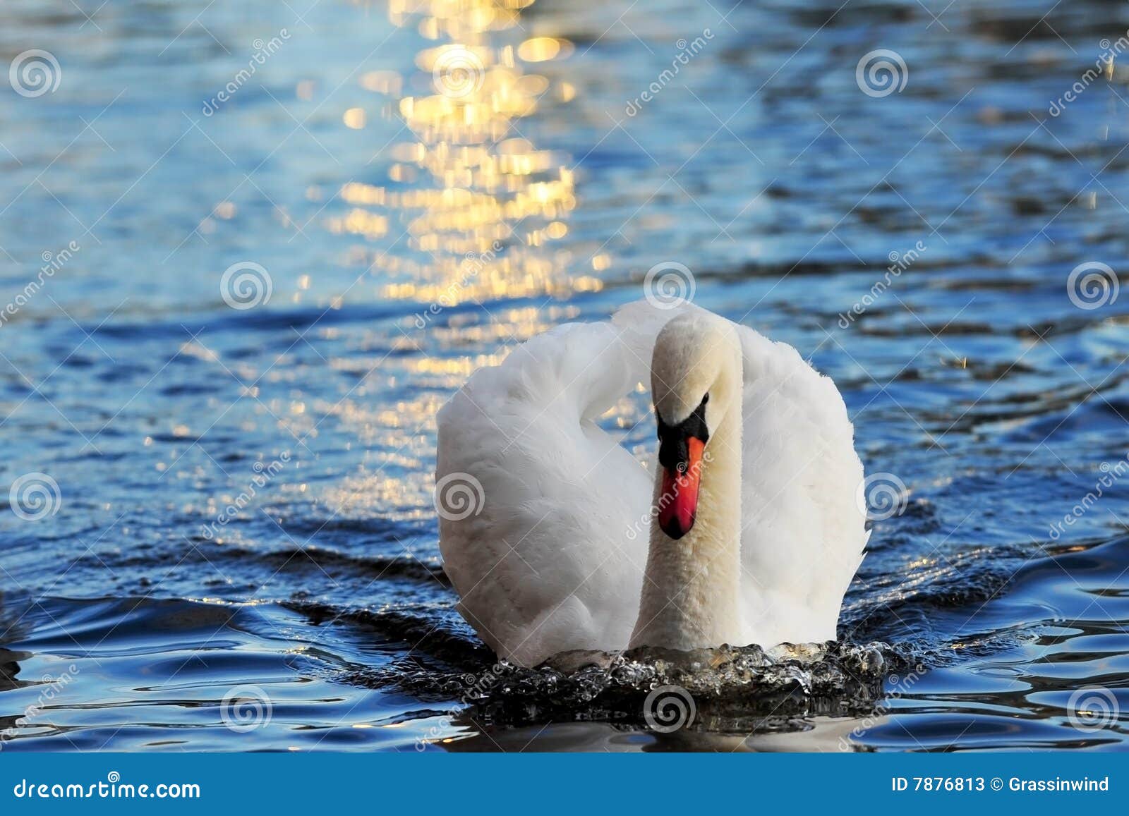 Cisne en el color del oro imagen de archivo. Imagen de brillante - 7876813
