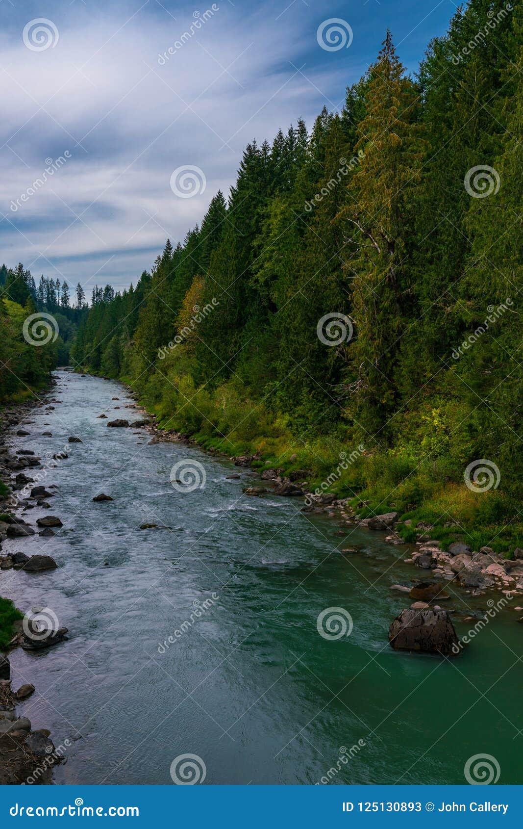 Cispus River Late Summer stock image. Image of tree - 125130893