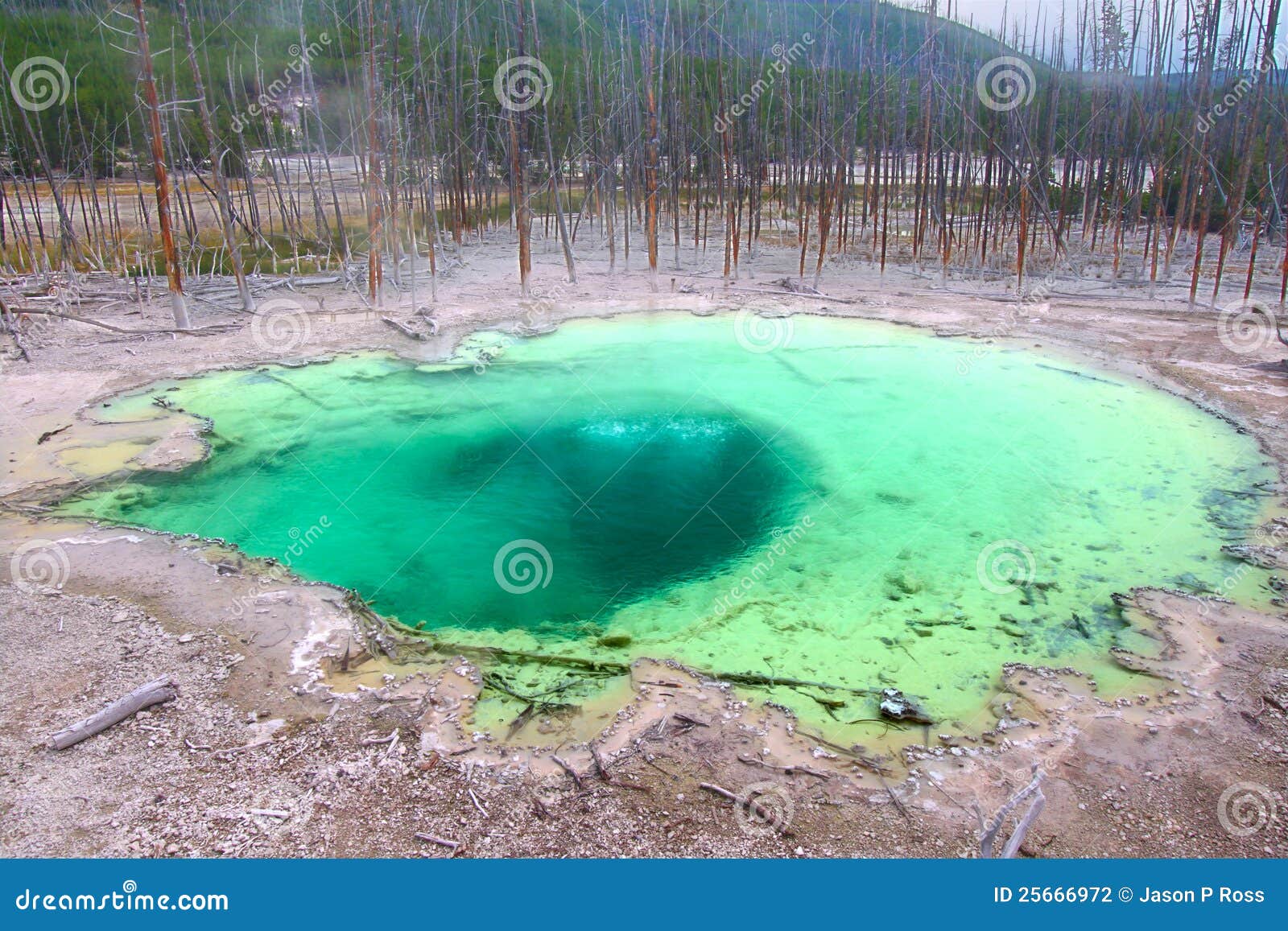 Cistern Spring of Yellowstone Stock Photo - Image of pool, pond: 25666972