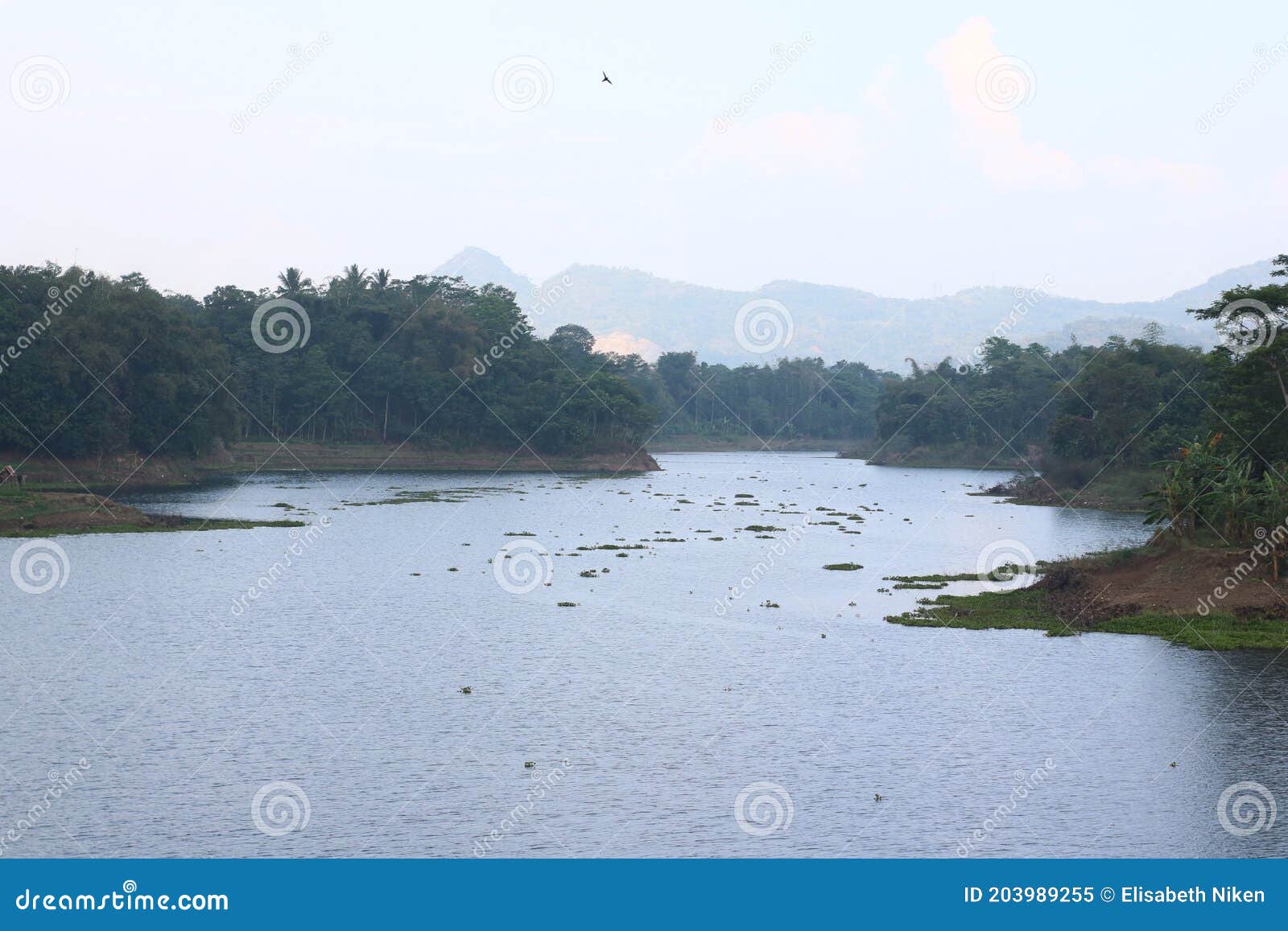 Citarum River, Bandung, Indonesia Stock Image - Image of largest, creek ...