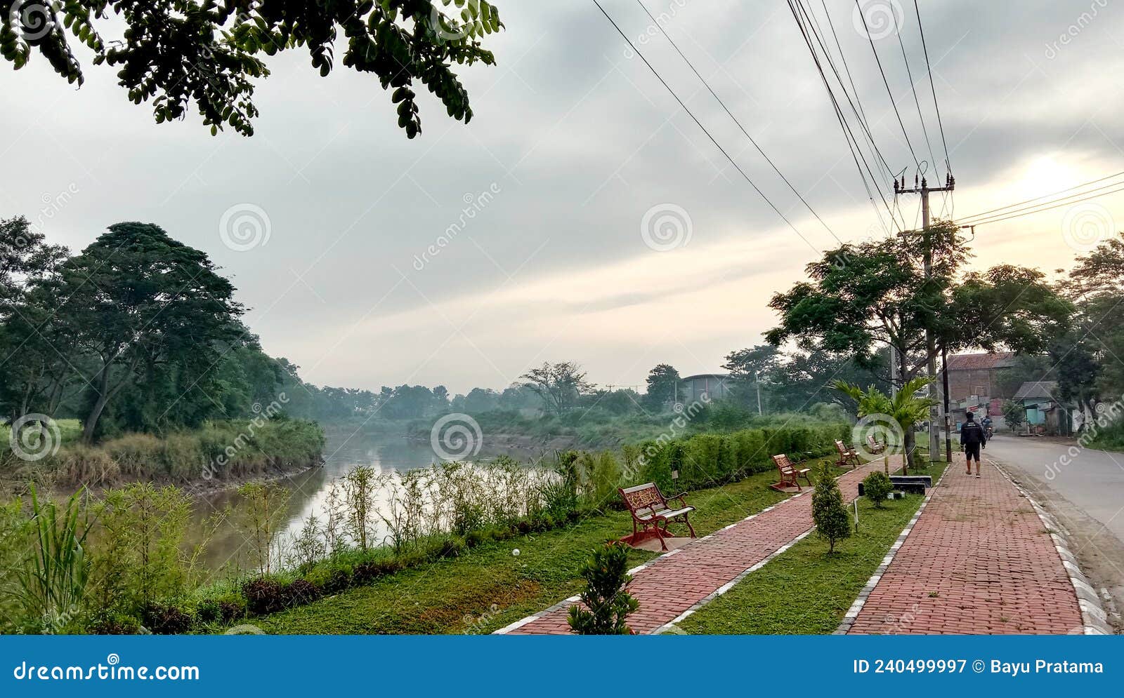 Citarum River stock image. Image of plant, morning, citarum - 240499997