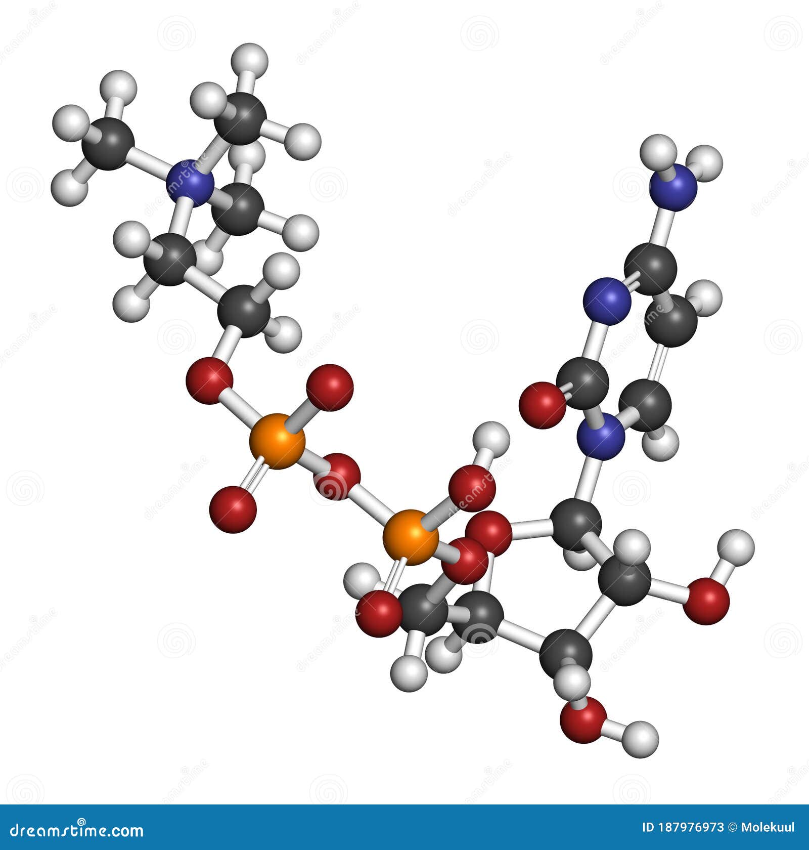 Citicoline Molecule 3d, Molecular Structure, Ball And Stick Model ...