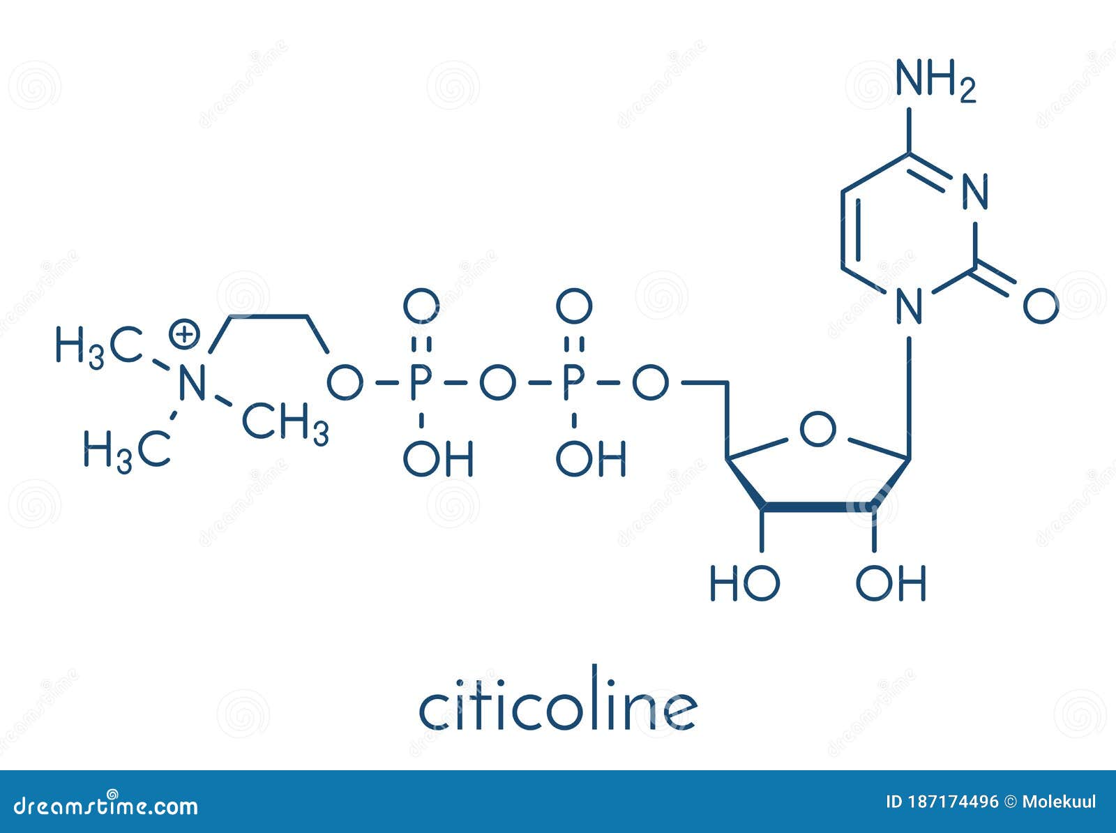 Citicoline CDP-choline Molecule. Skeletal Formula. Stock Vector ...