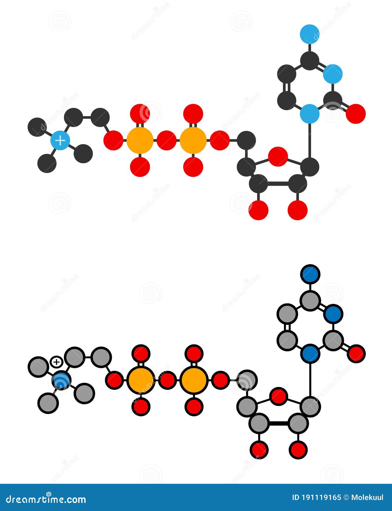 Choline Molecule, Structural Chemical Formula, Ball-and-stick Model ...