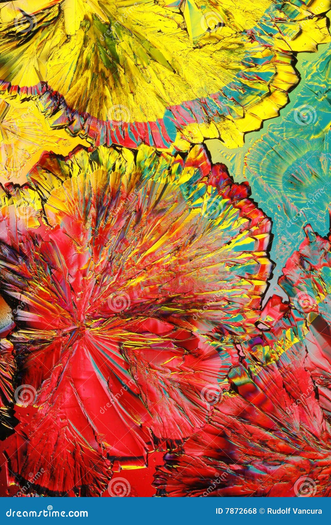 Citric Acid Colors stock photo. Image of glossy, colors - 7872668