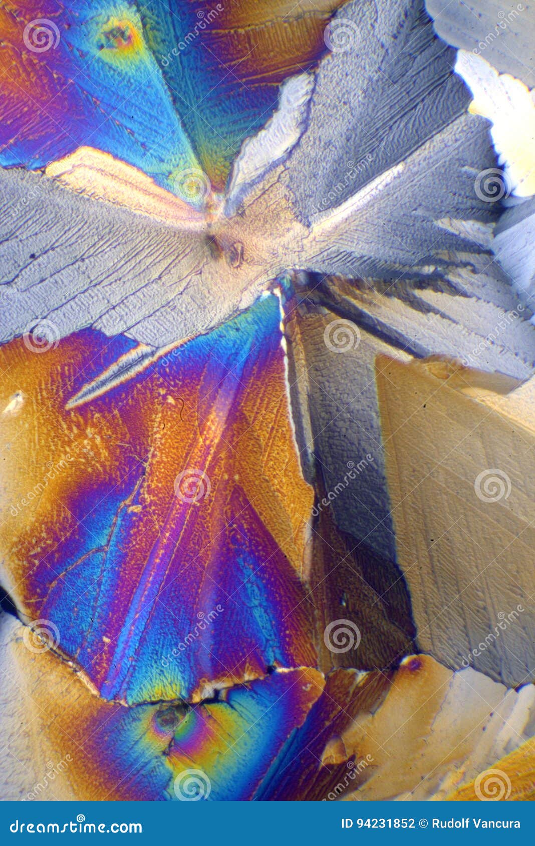 Citric Acid Crystal in Polarized Light Stock Photo - Image of colour ...