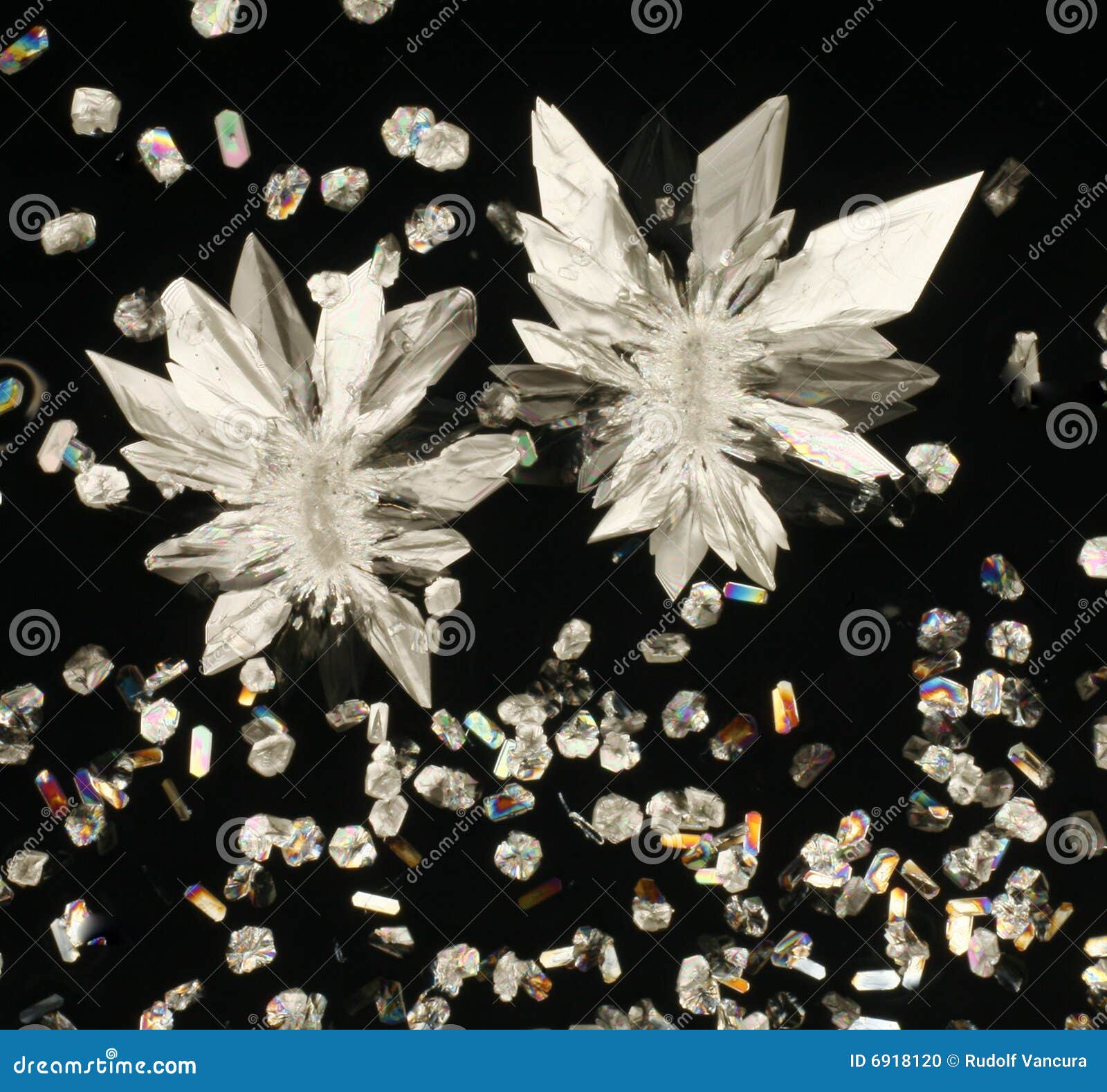 Citric Acid Crystals on Black Stock Photo - Image of crystal, detail ...