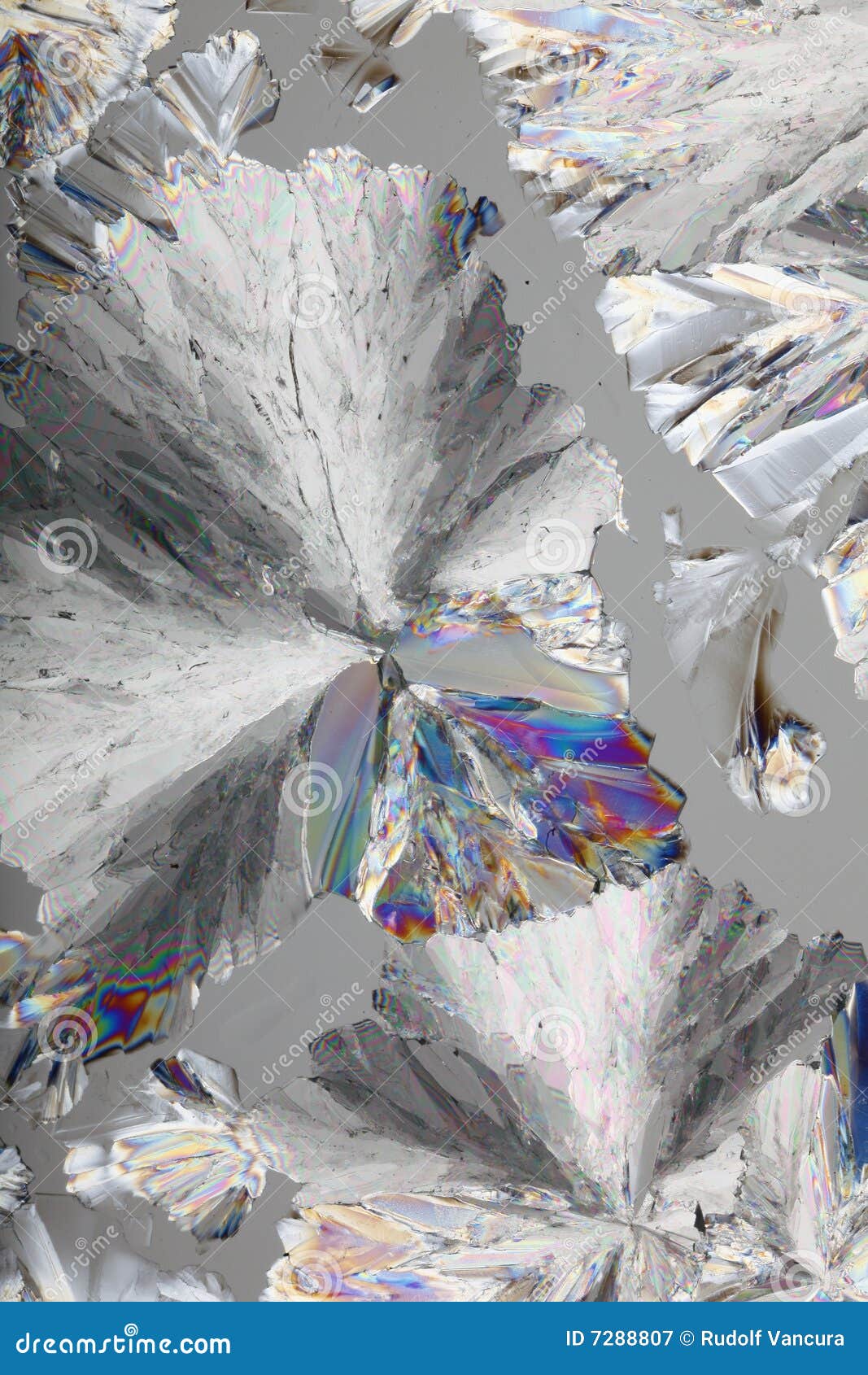 Citric acid crystals macro stock image. Image of crystallized - 7288807